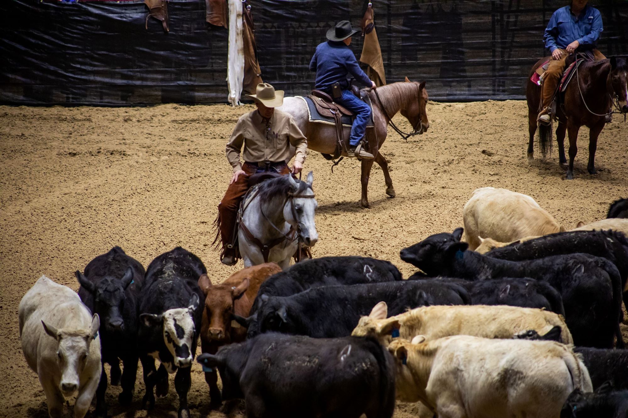 NCHA Cutting Show