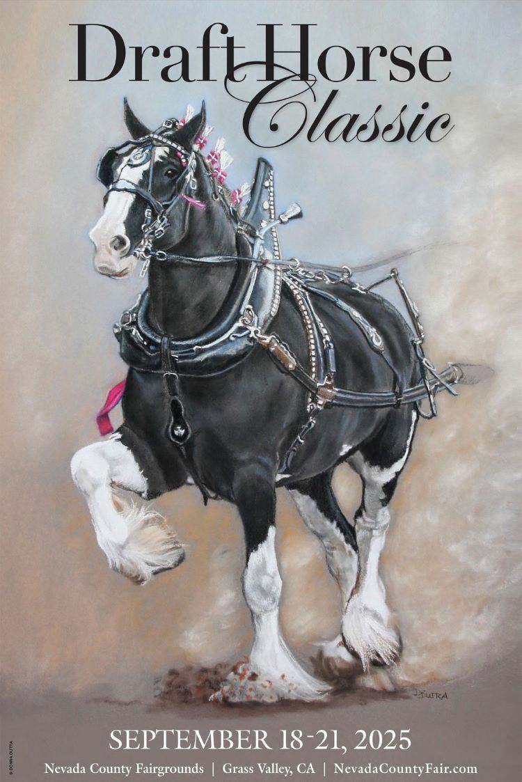 Draft Horse Classic