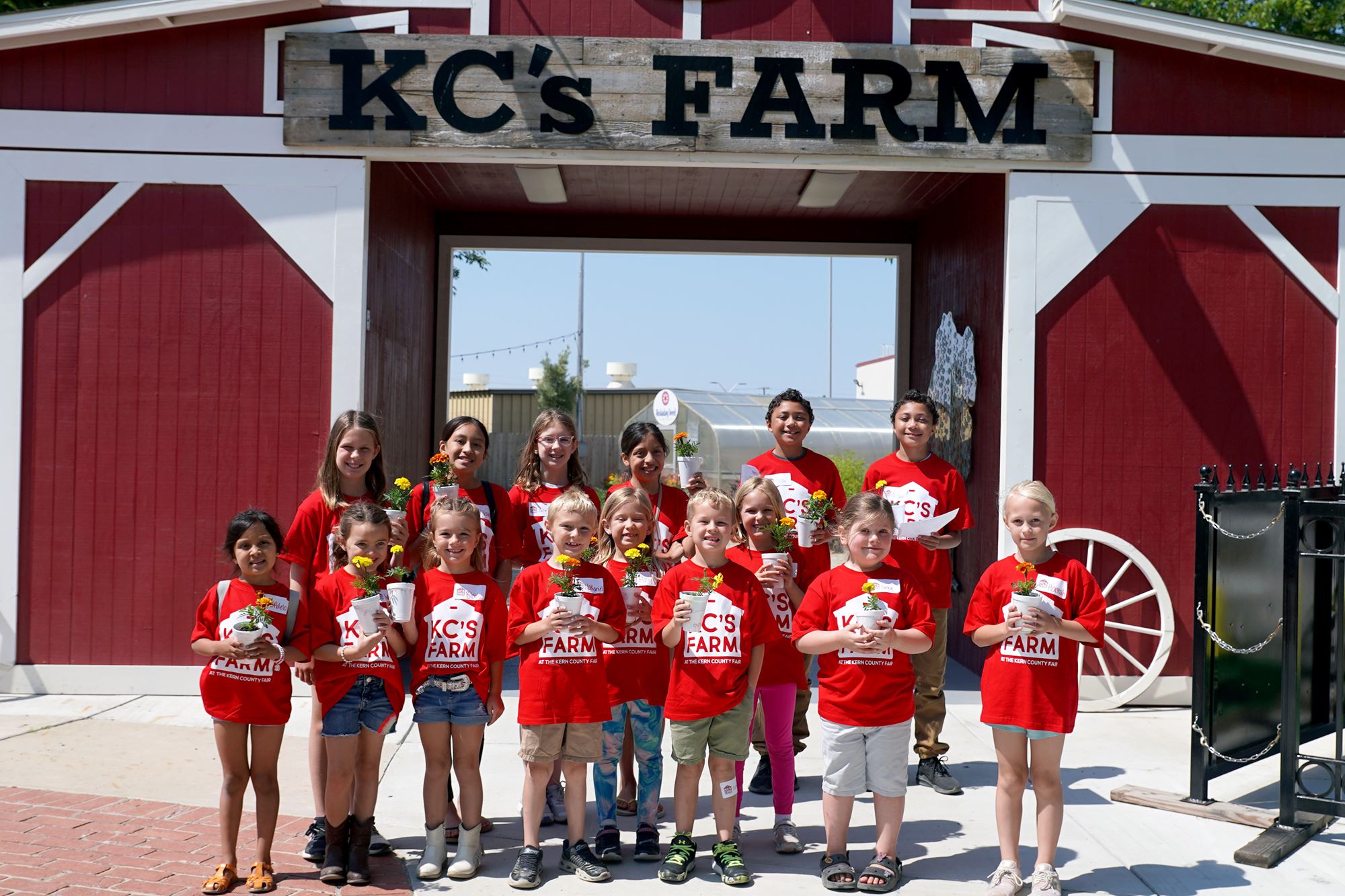 KC's Farm