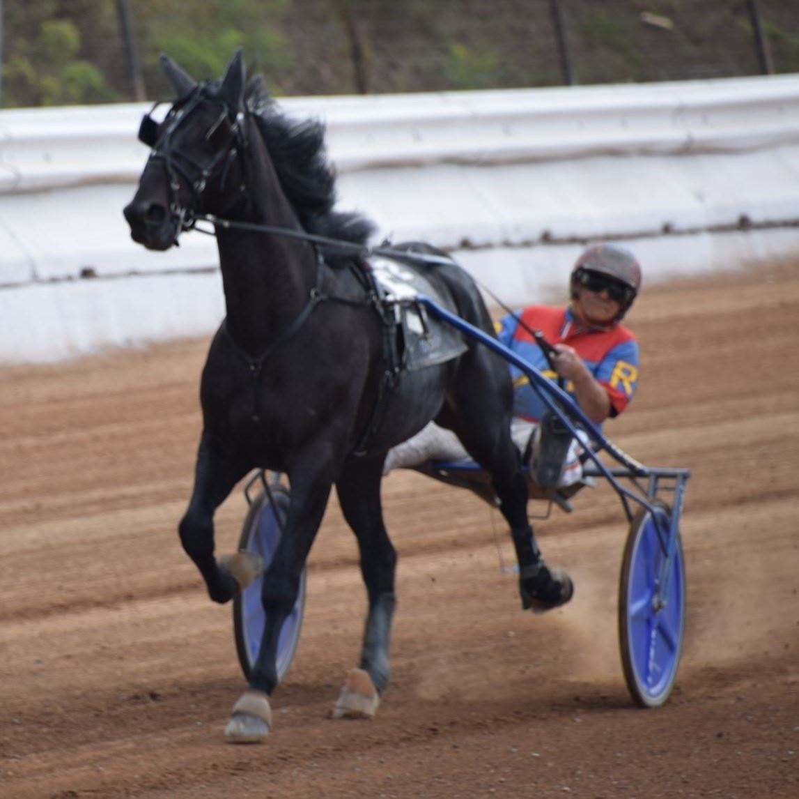 about harness racing at the Bedford County Fair in PA