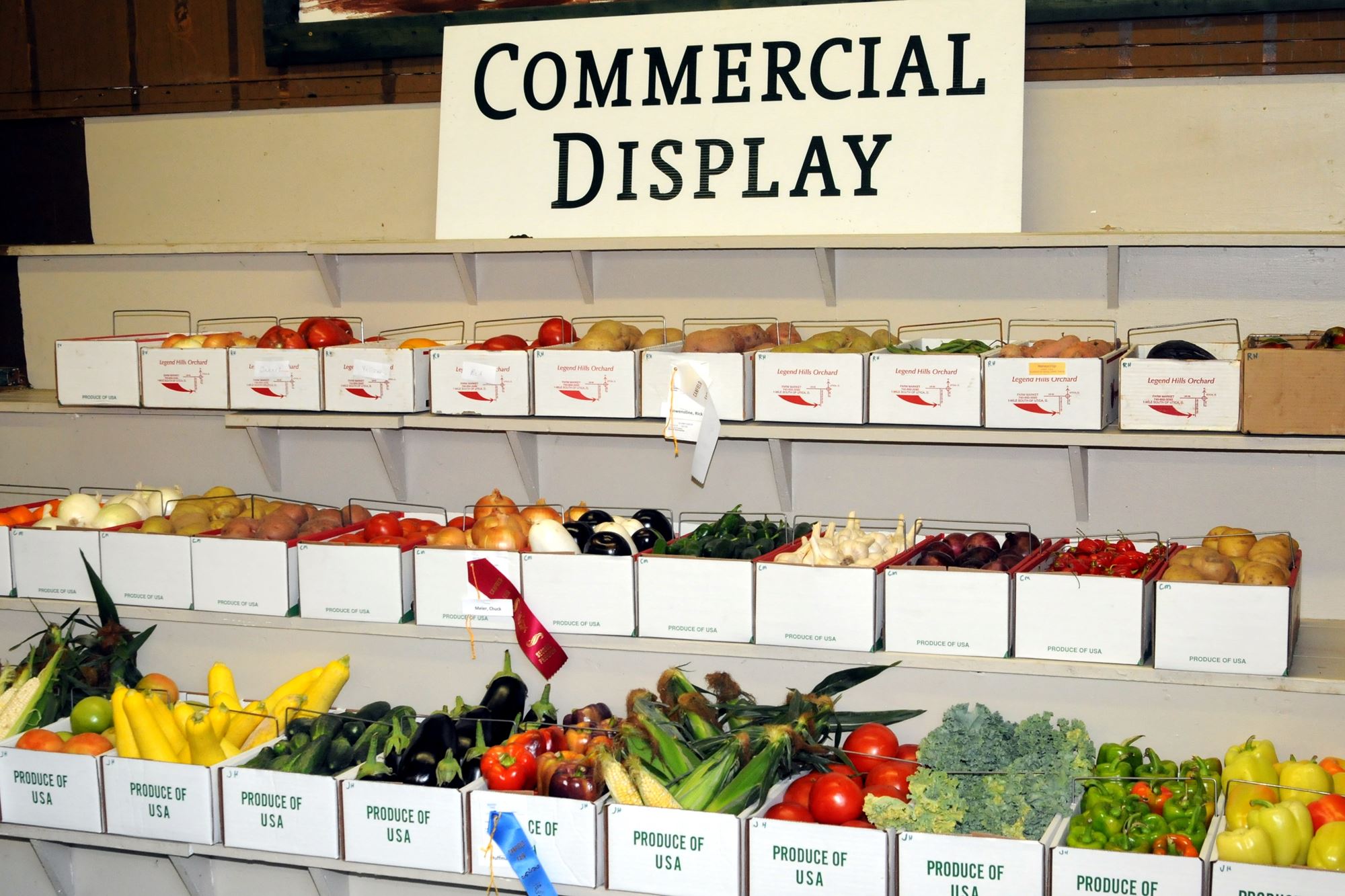 2021 Canfield Fair Photos