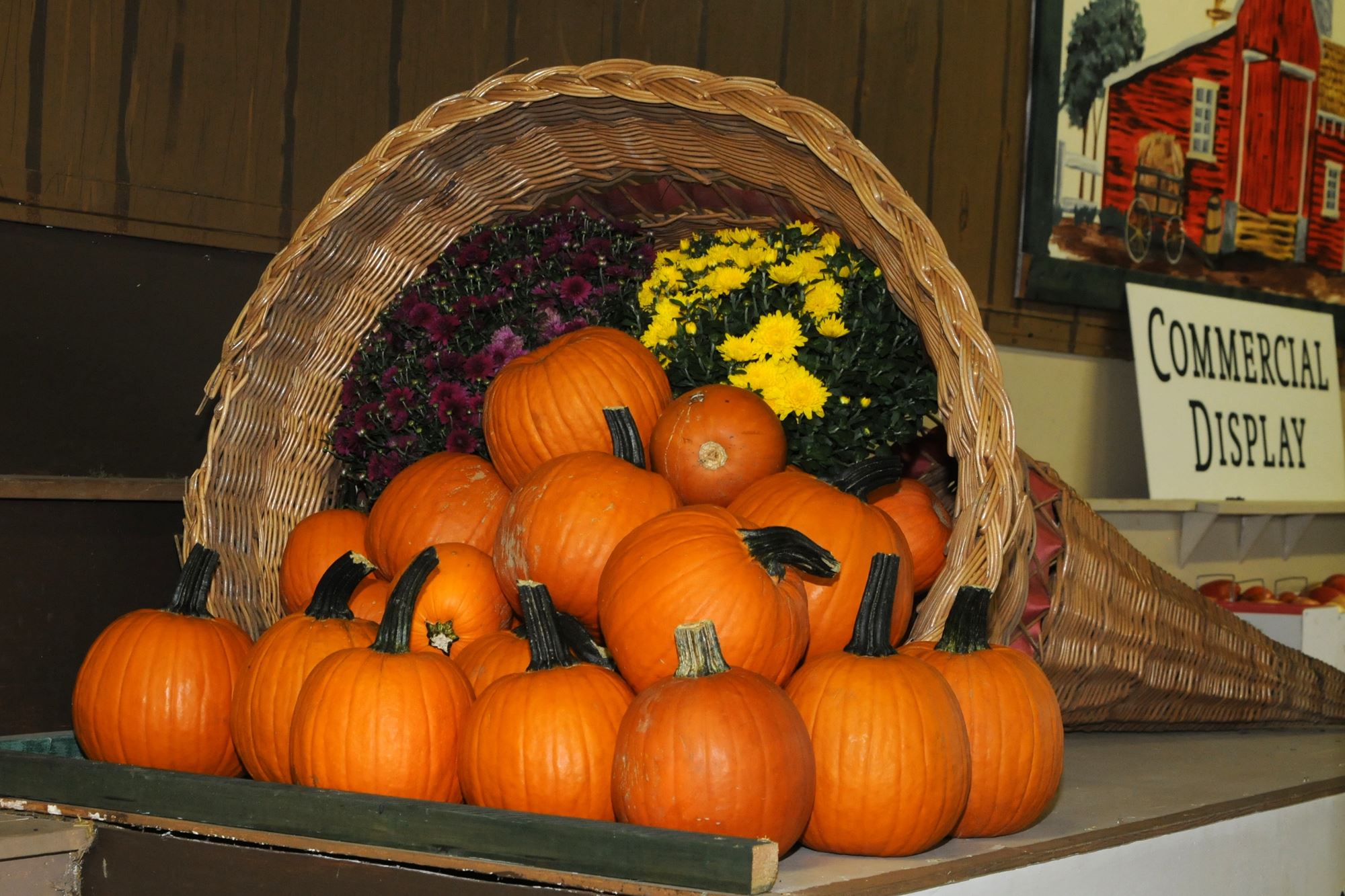 2021 Canfield Fair Photos
