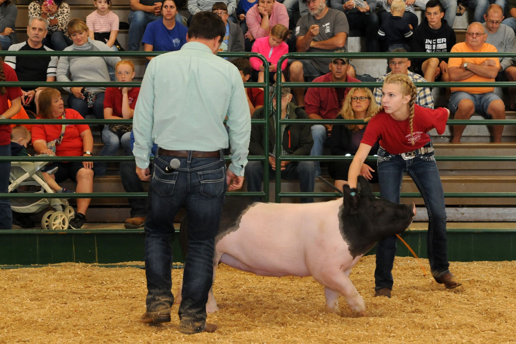 2021 Canfield Fair Photos