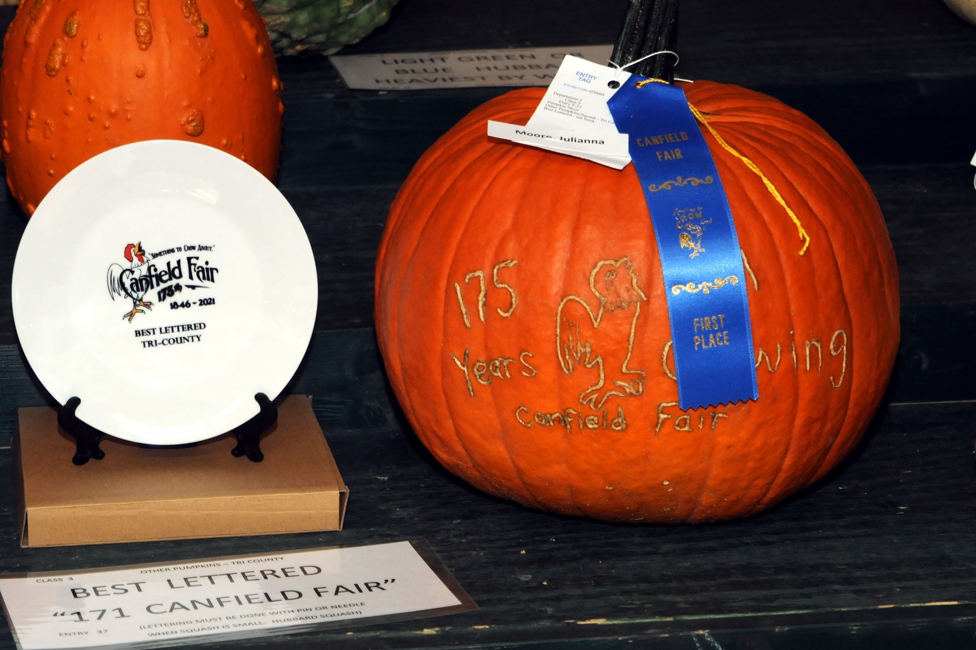 2021 Canfield Fair Photos