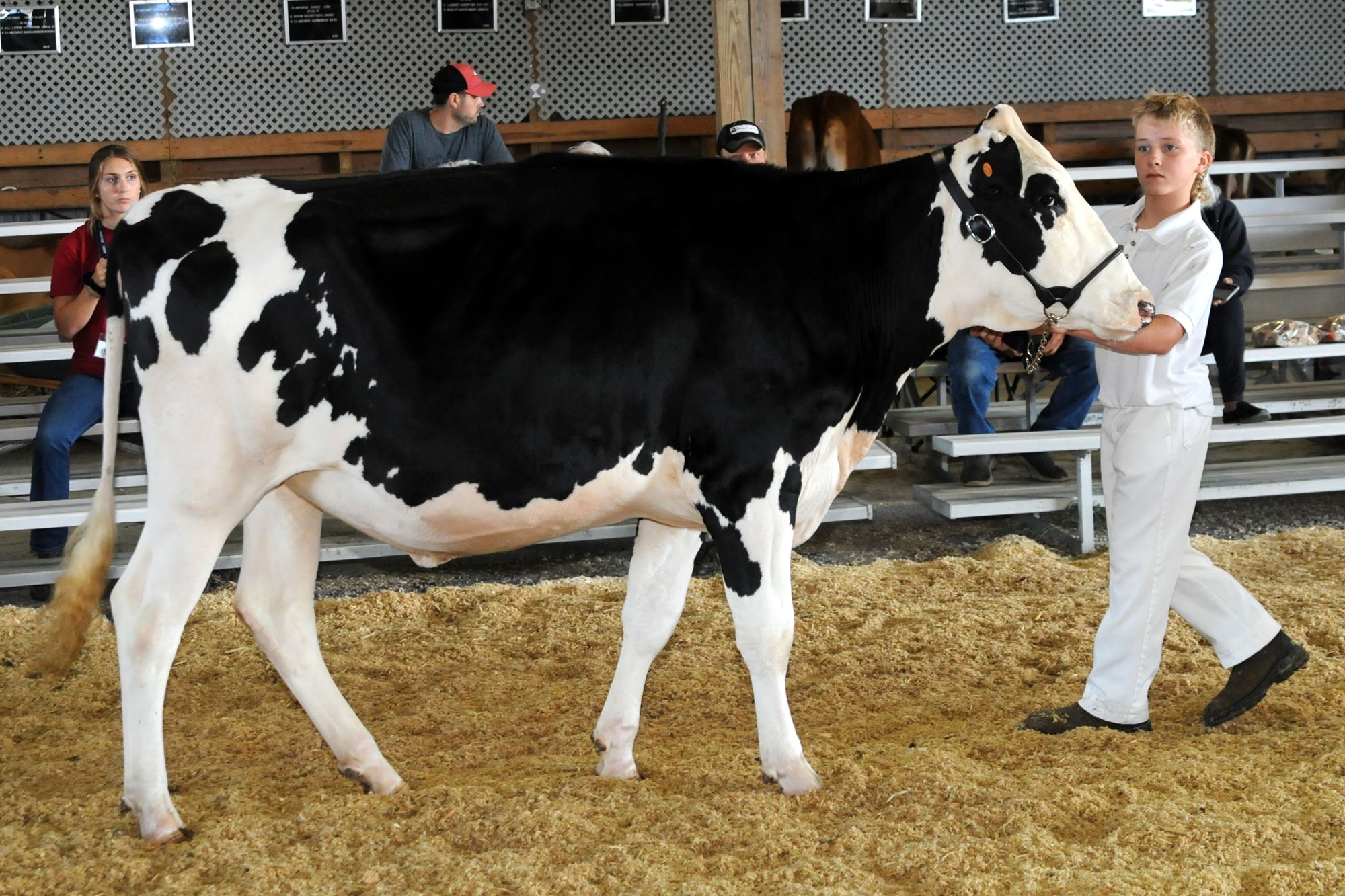 2021 Canfield Fair Photos