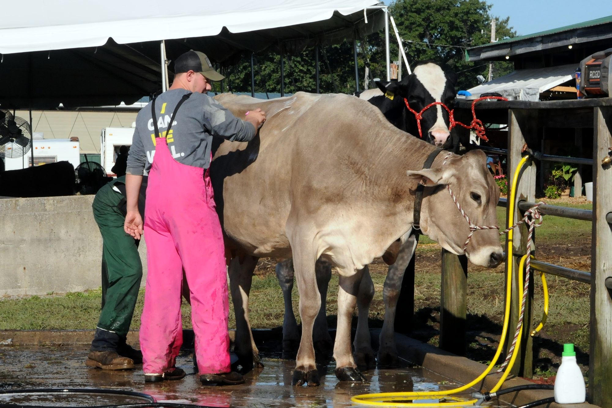 2021 Canfield Fair Photos