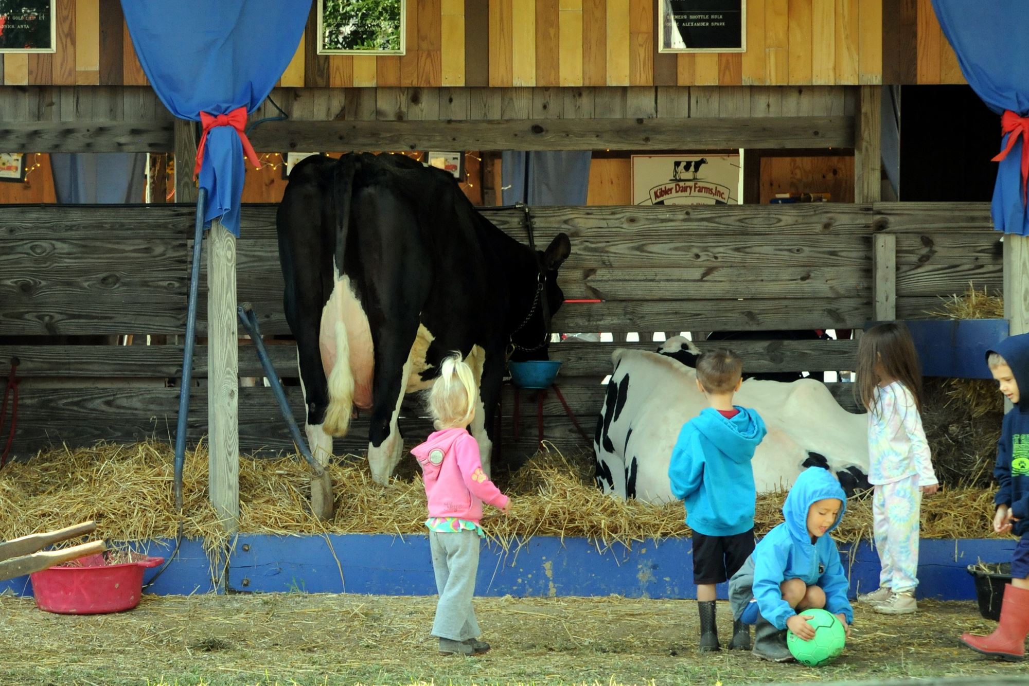 2021 Canfield Fair Photos
