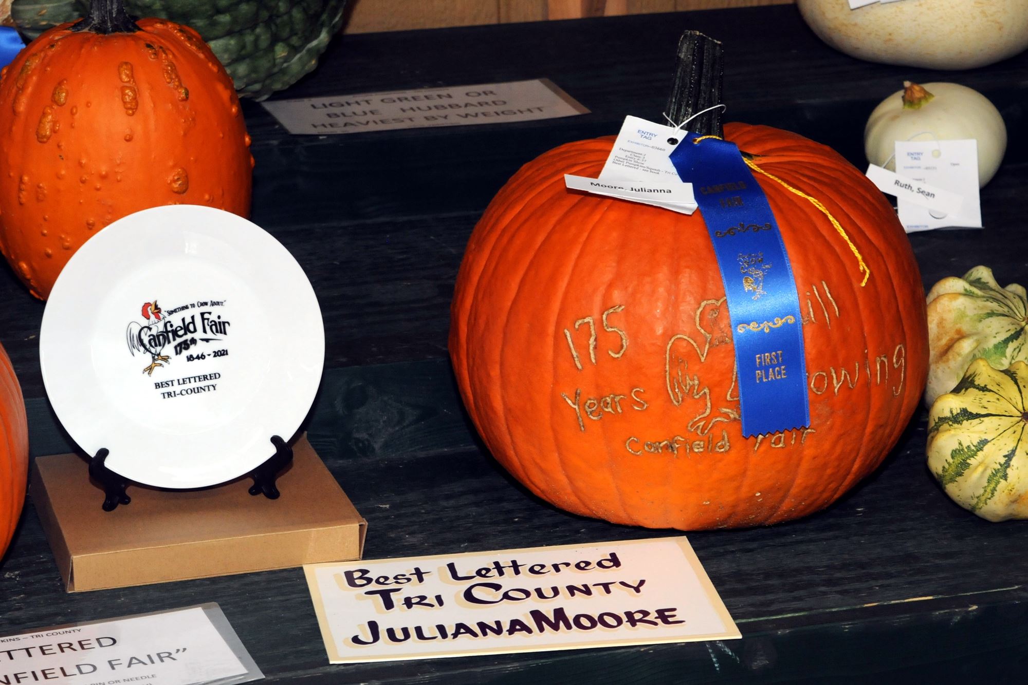 2021 Canfield Fair Photos