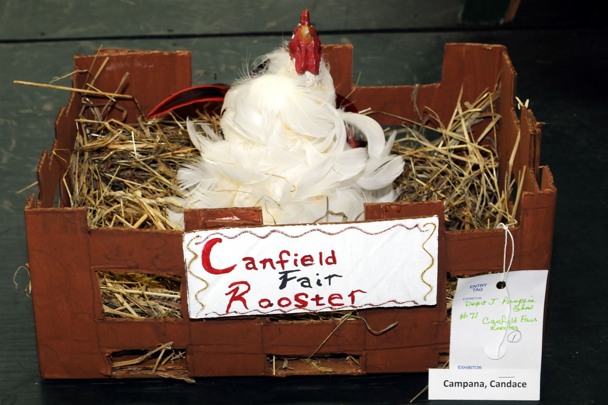 2021 Canfield Fair Photos