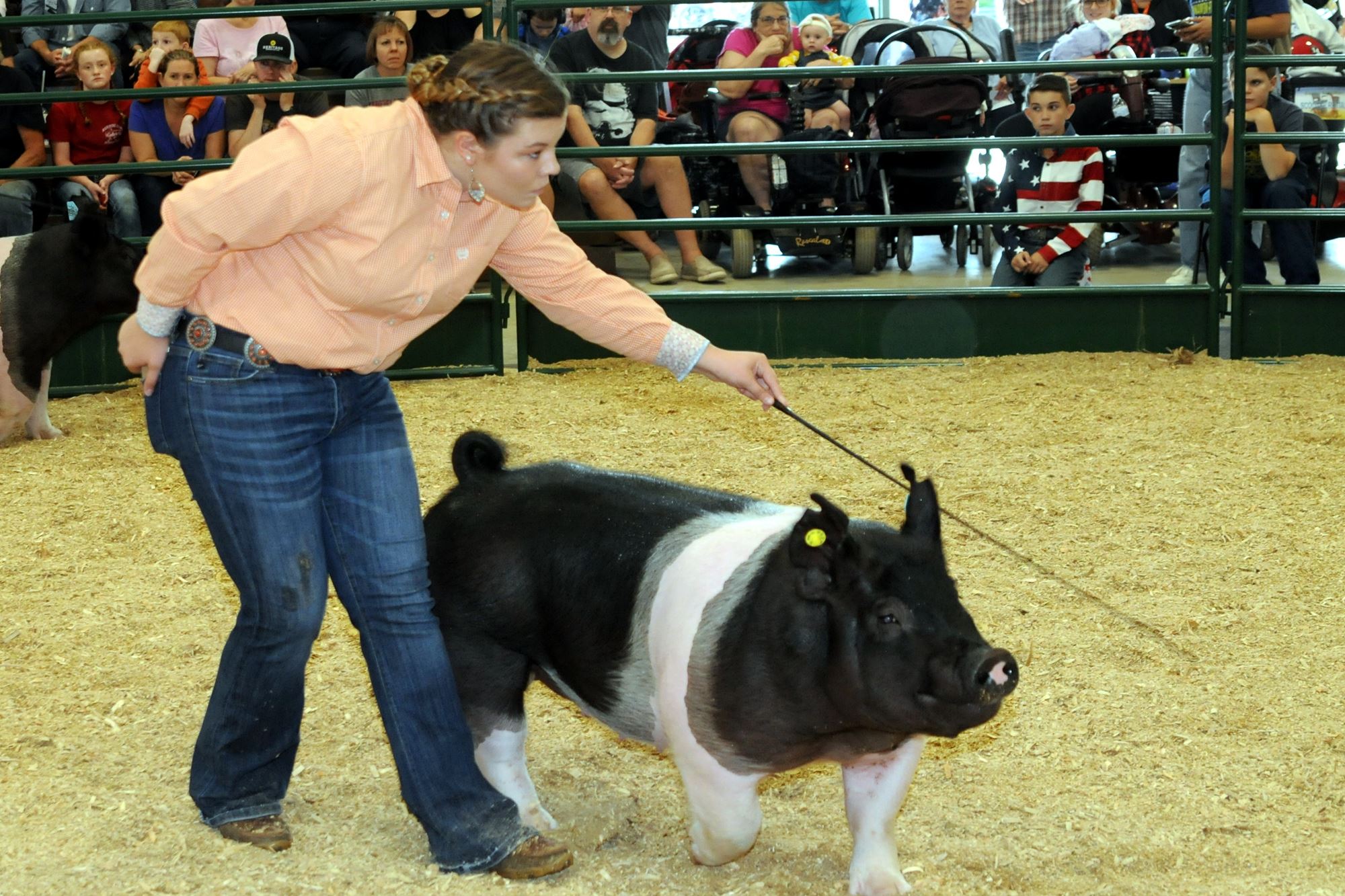 2021 Canfield Fair Photos