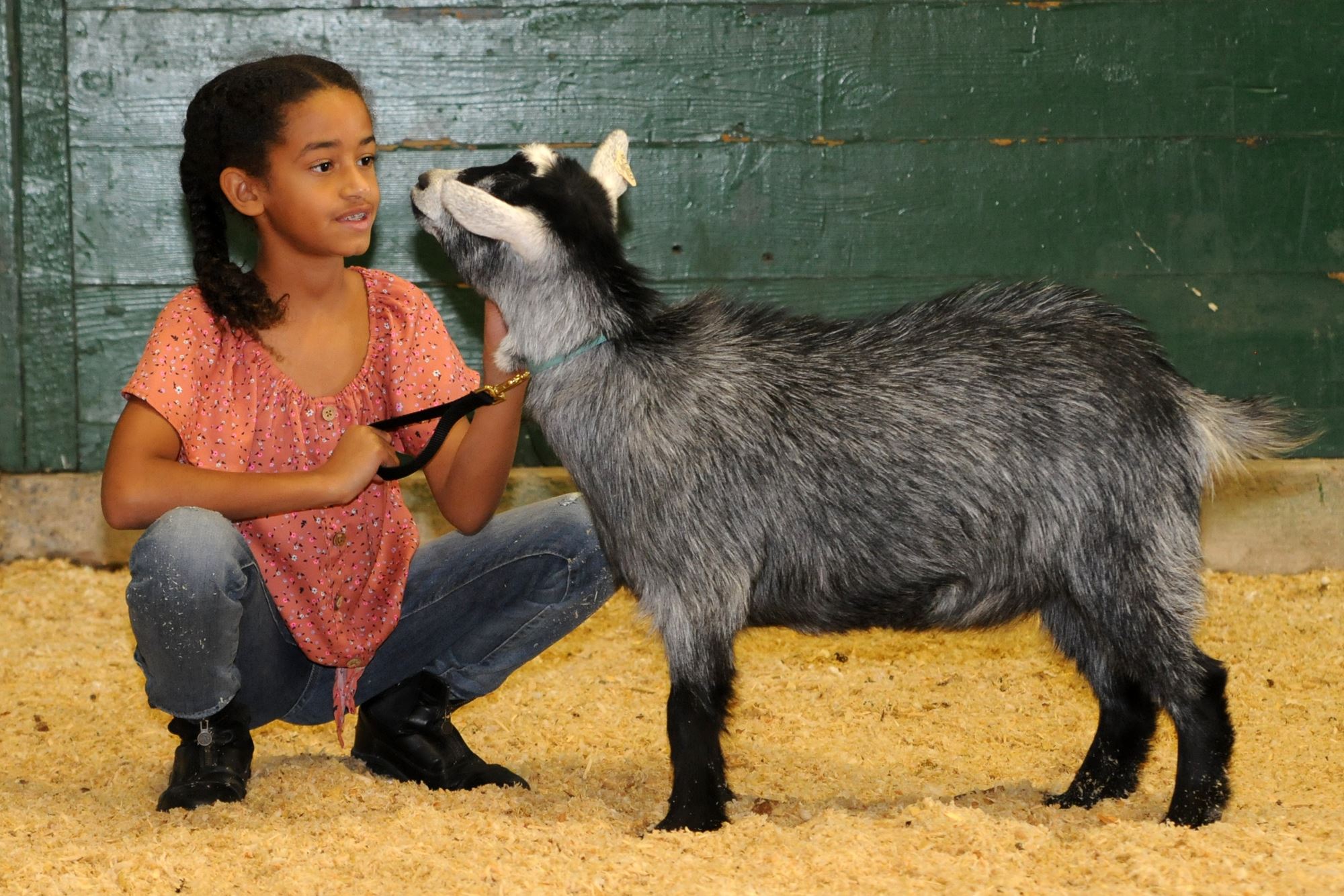 2021 Canfield Fair Photos
