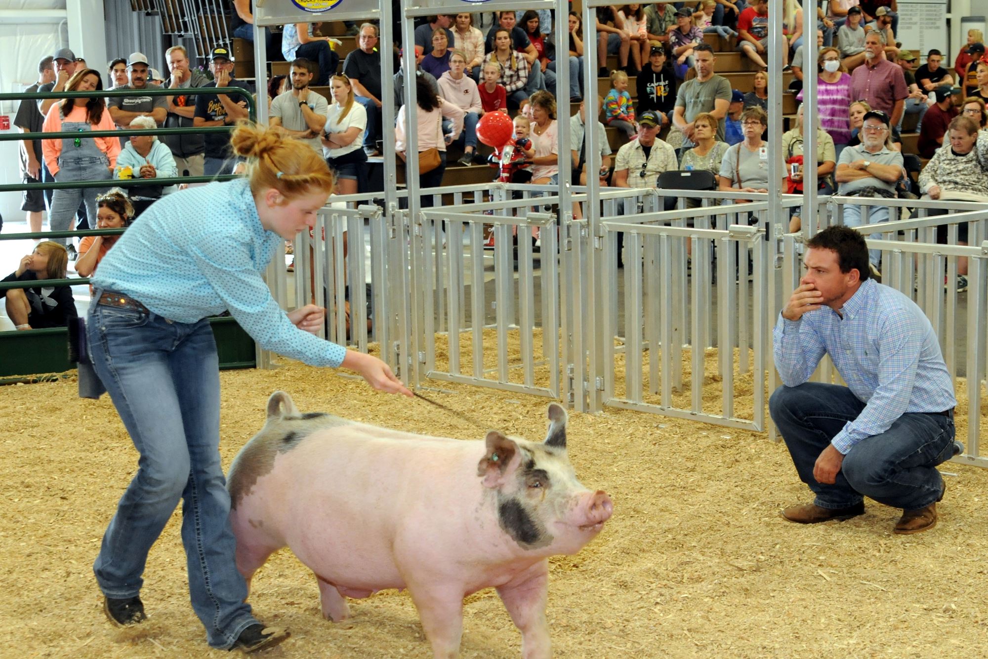 2021 Canfield Fair Photos