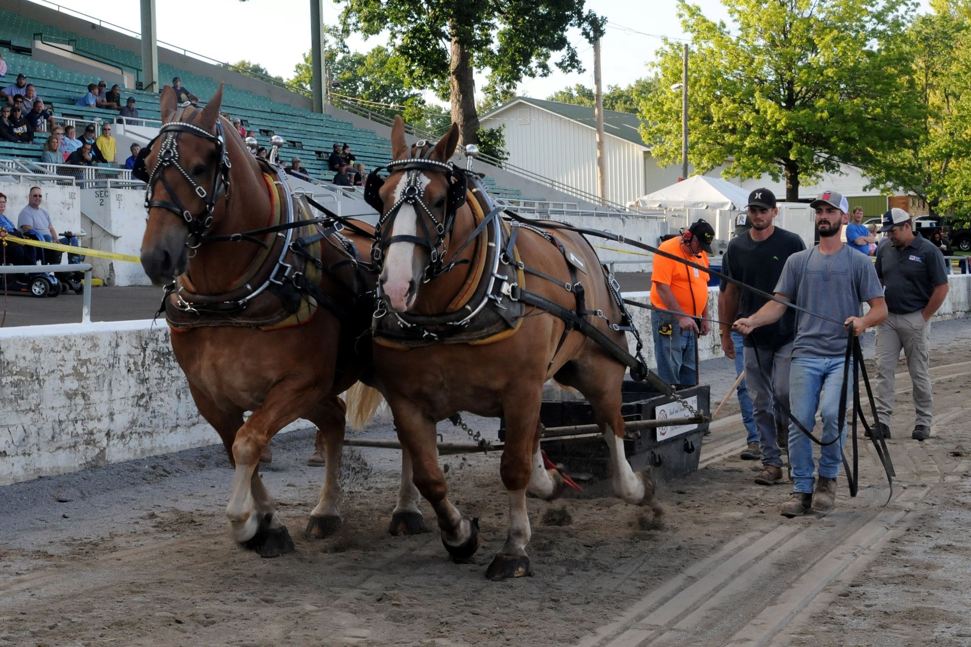 2021 Canfield Fair Photos