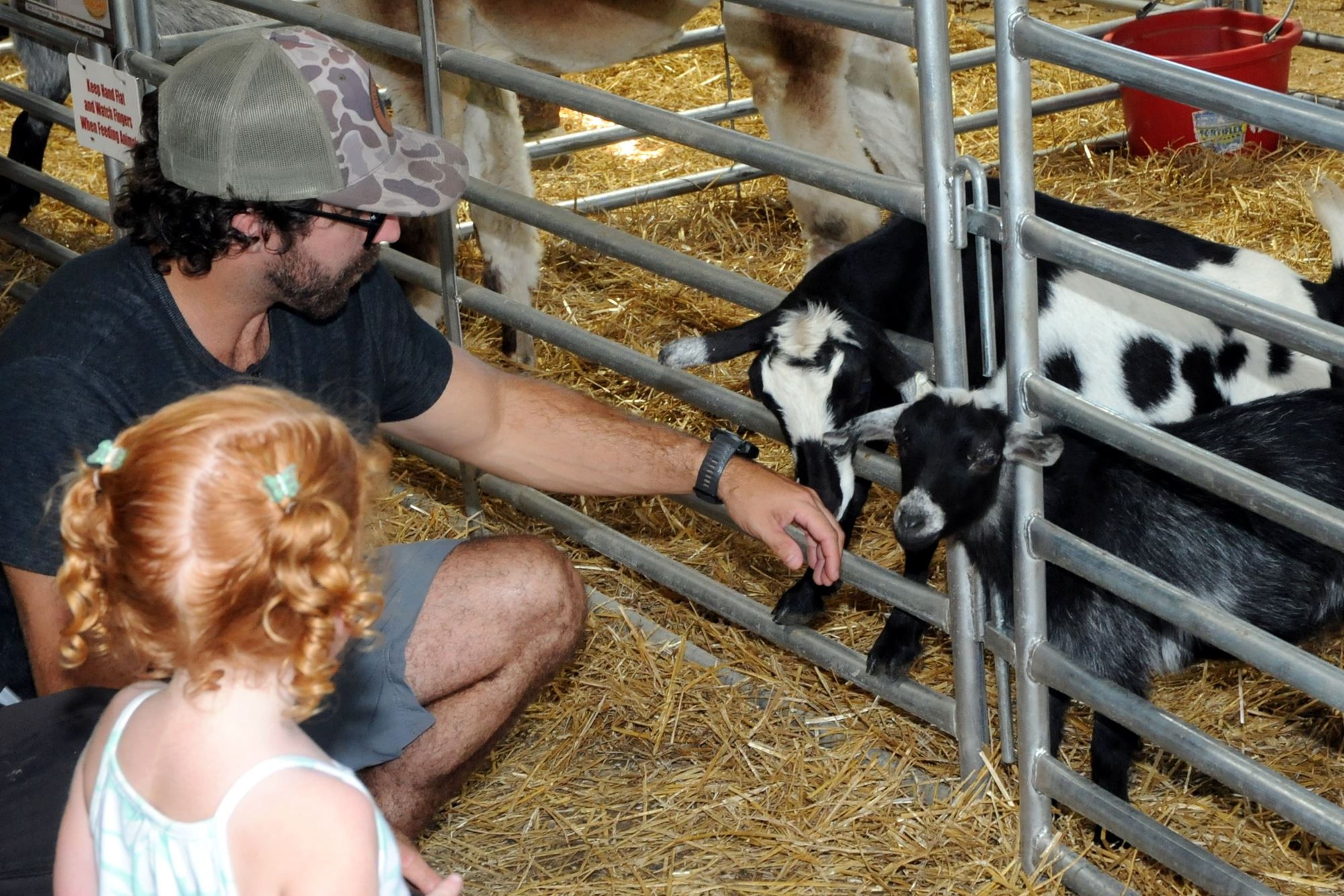 2024 Canfield Fair Photos