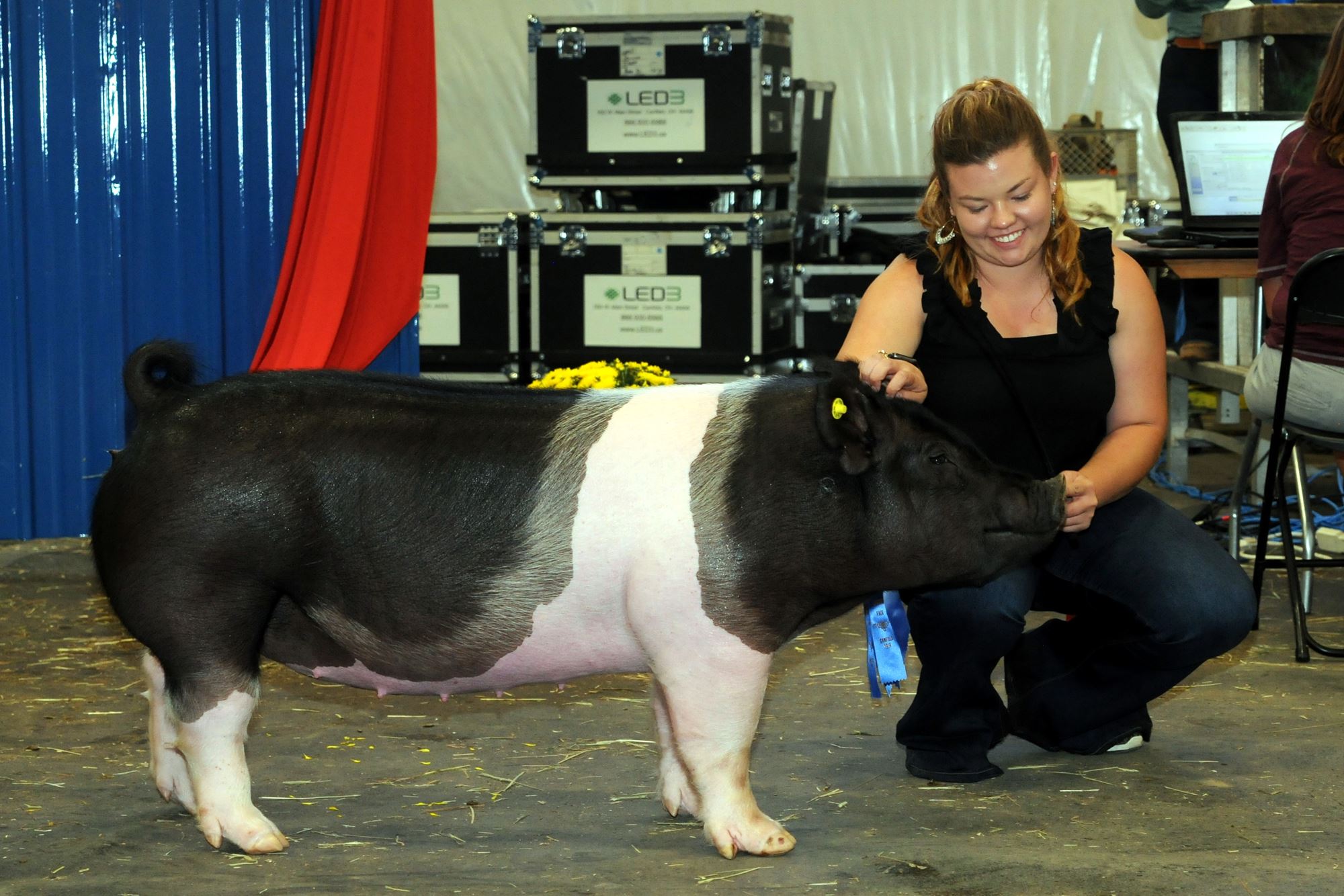 2021 Canfield Fair Photos