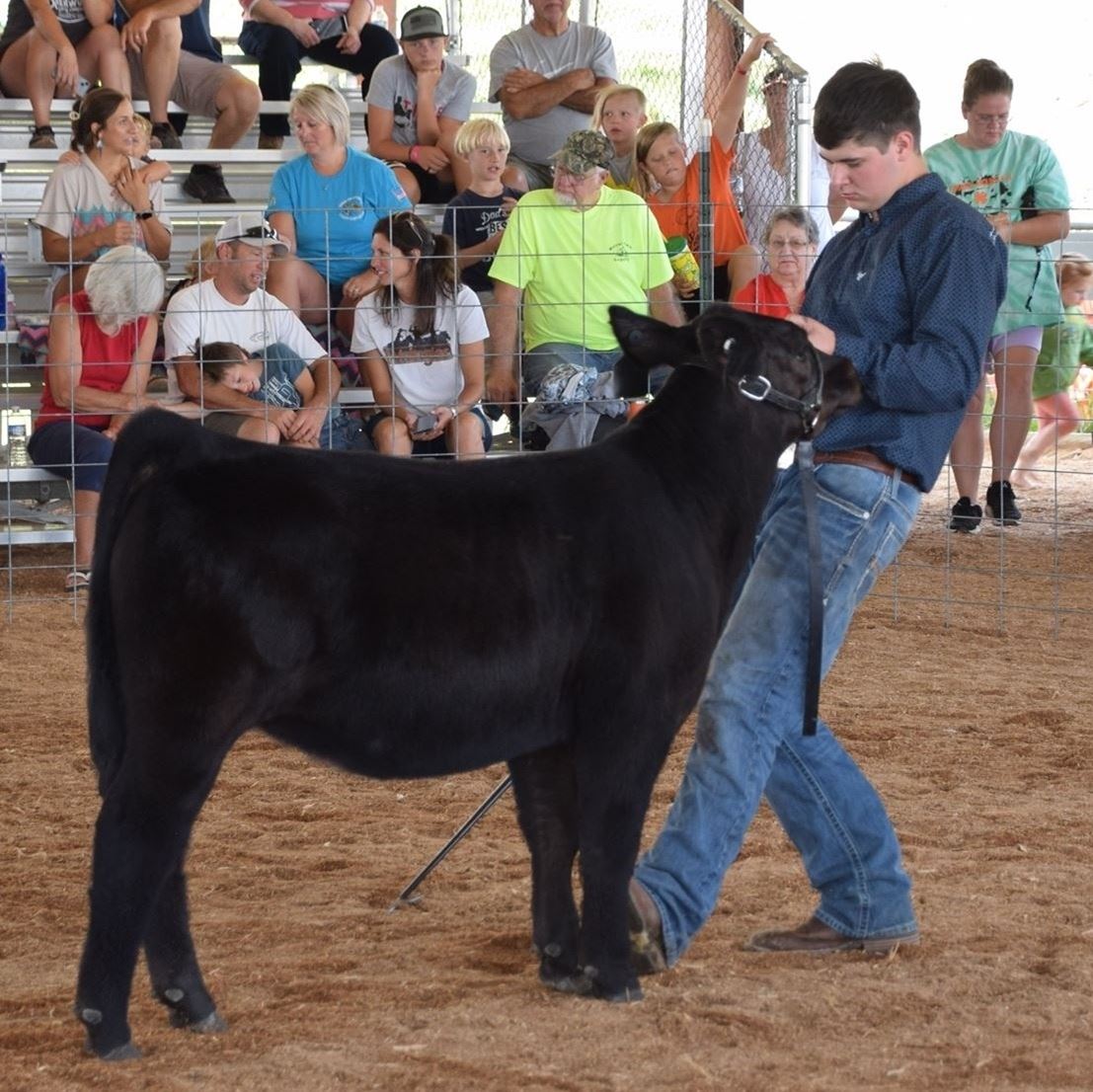 Bedford Fair Premium Guide