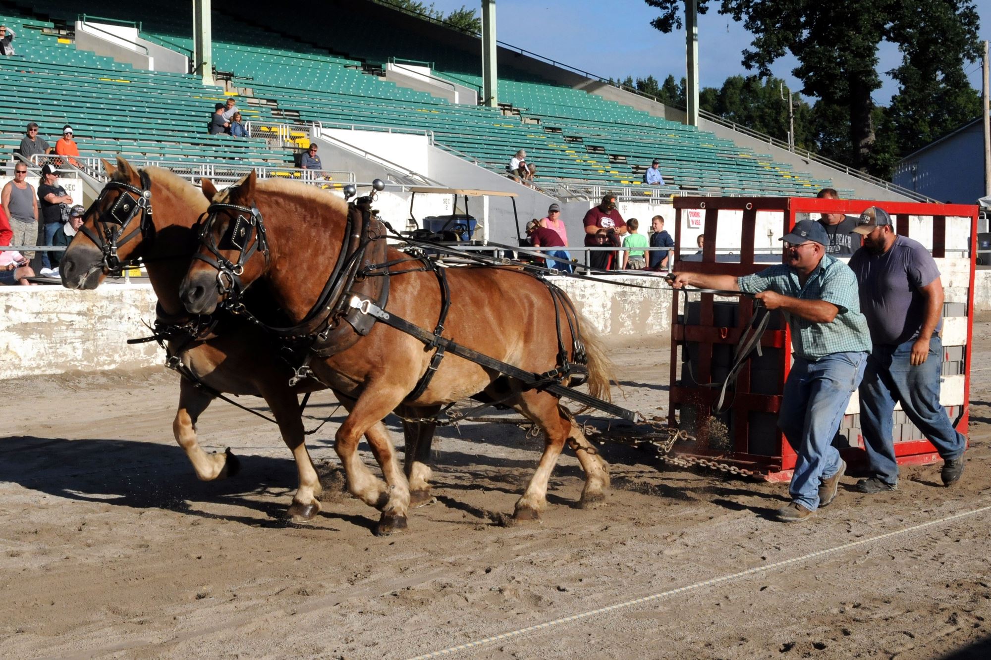 2021 Canfield Fair Photos
