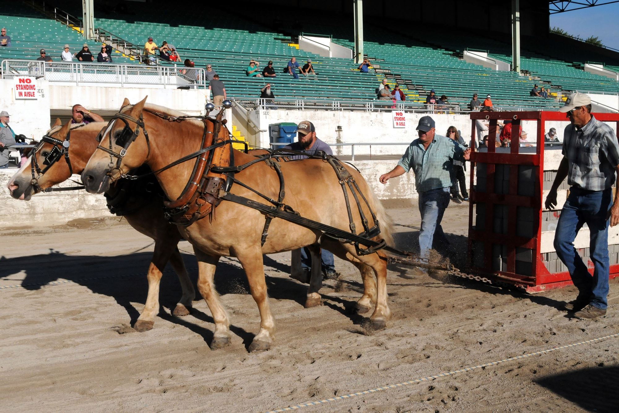 2021 Canfield Fair Photos