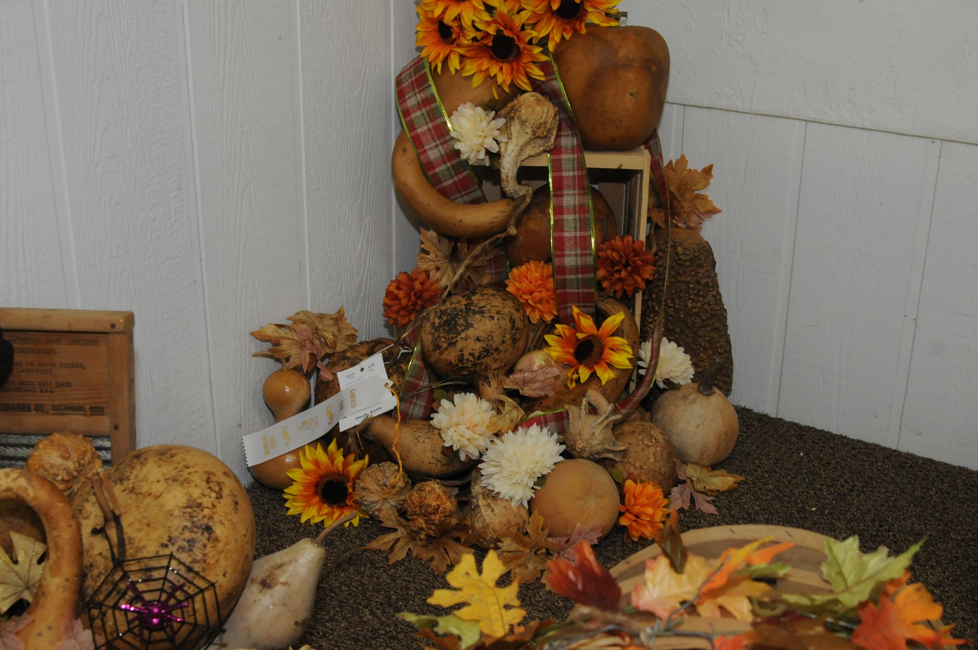 2022 Canfield Fair Photos