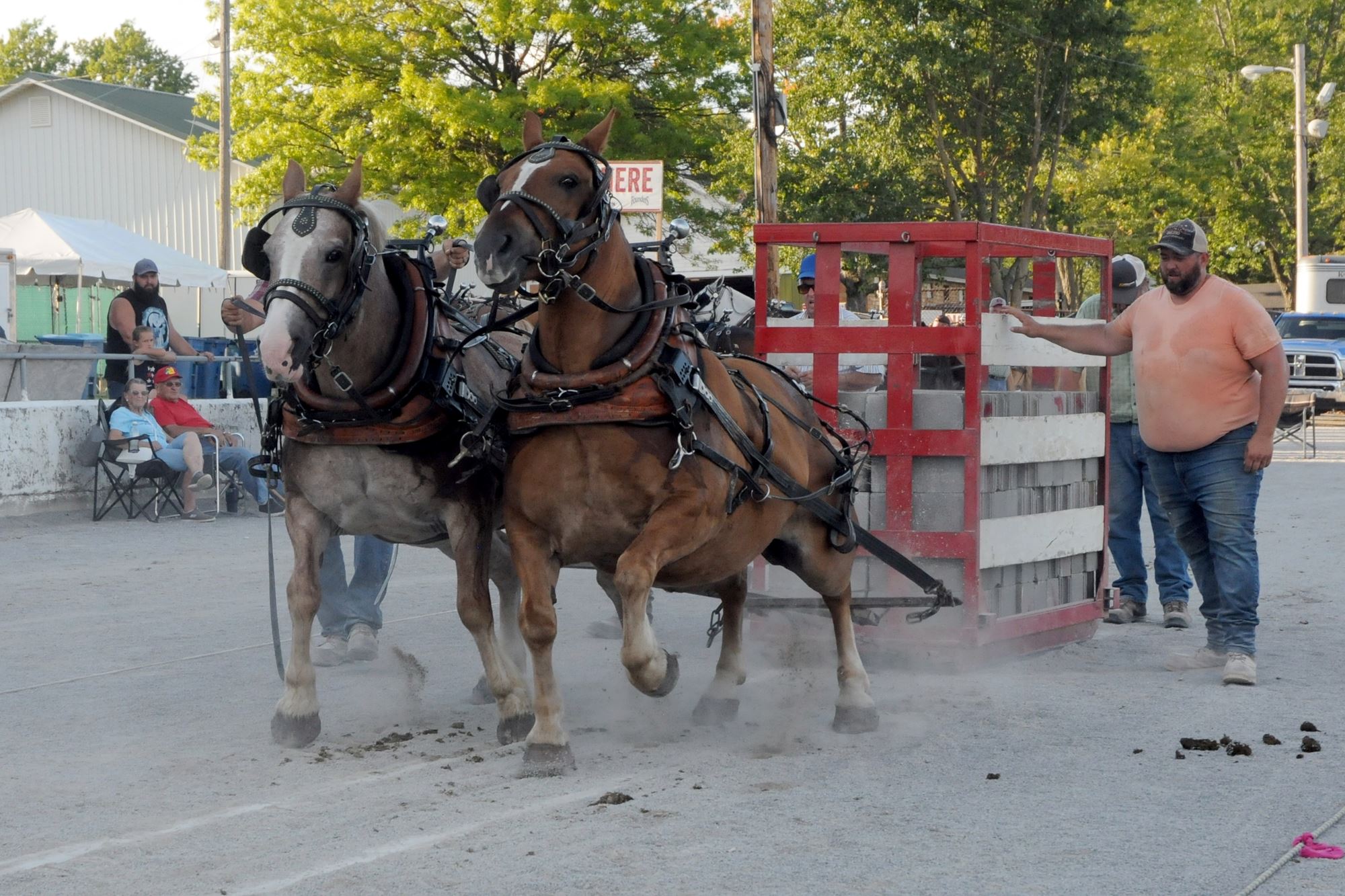 2024 Canfield Fair Photos