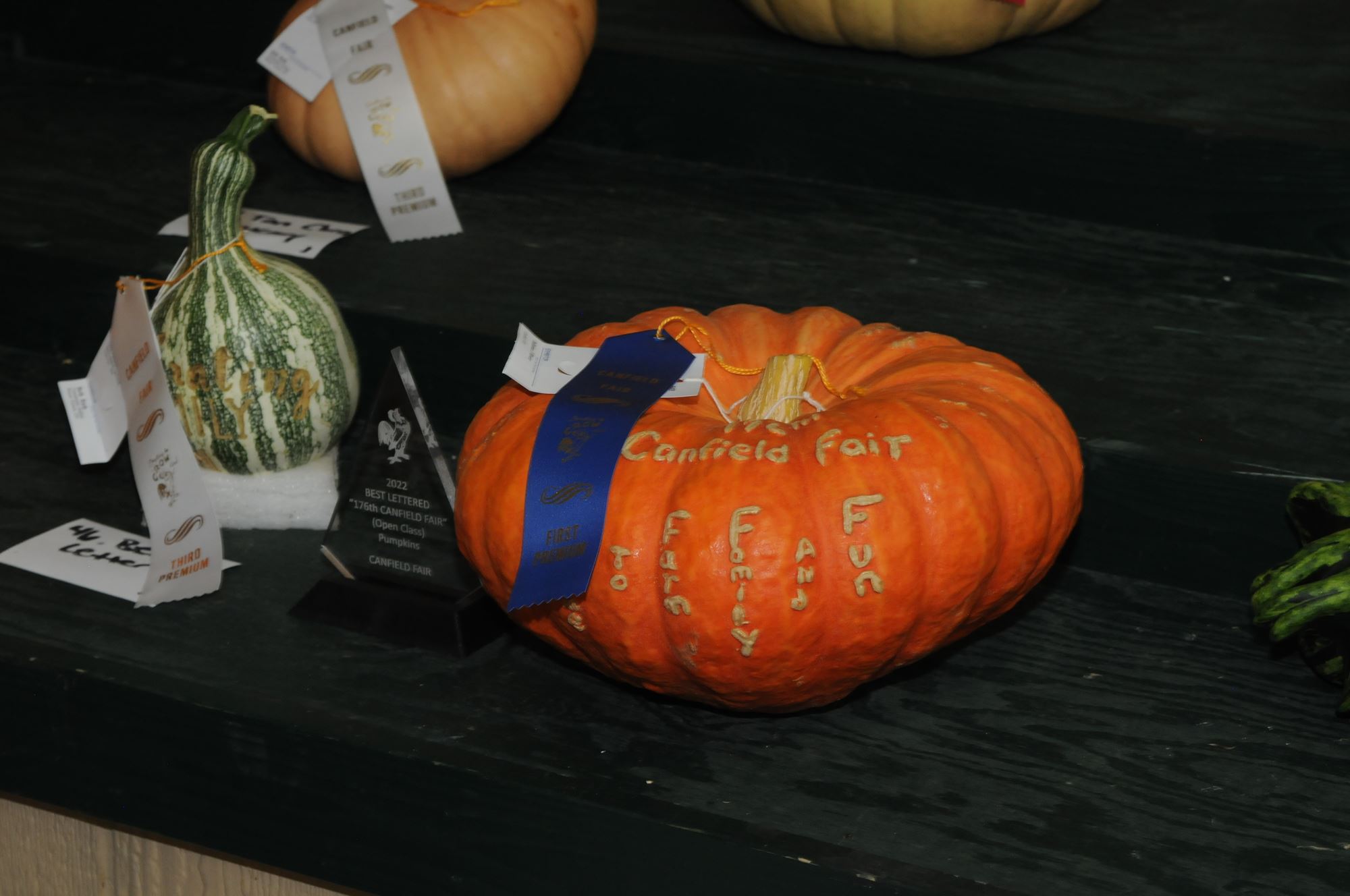 2022 Canfield Fair Photos