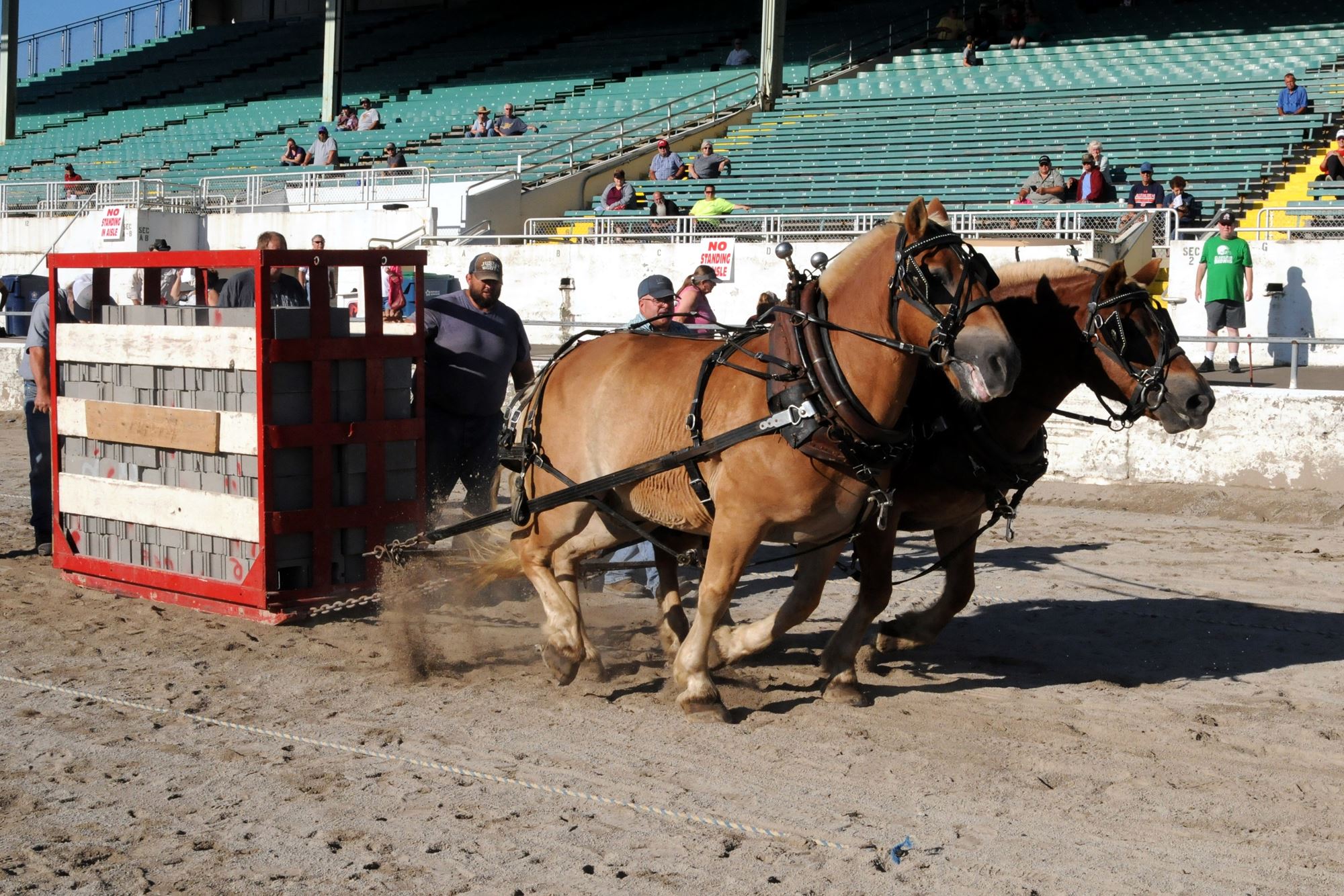 2021 Canfield Fair Photos