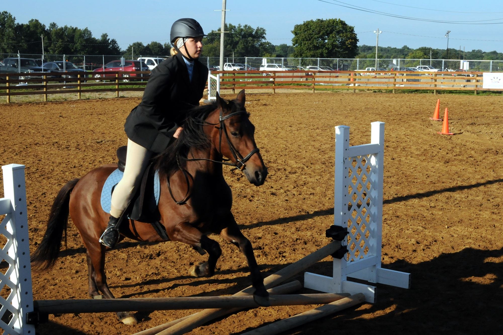 2021 Canfield Fair Photos