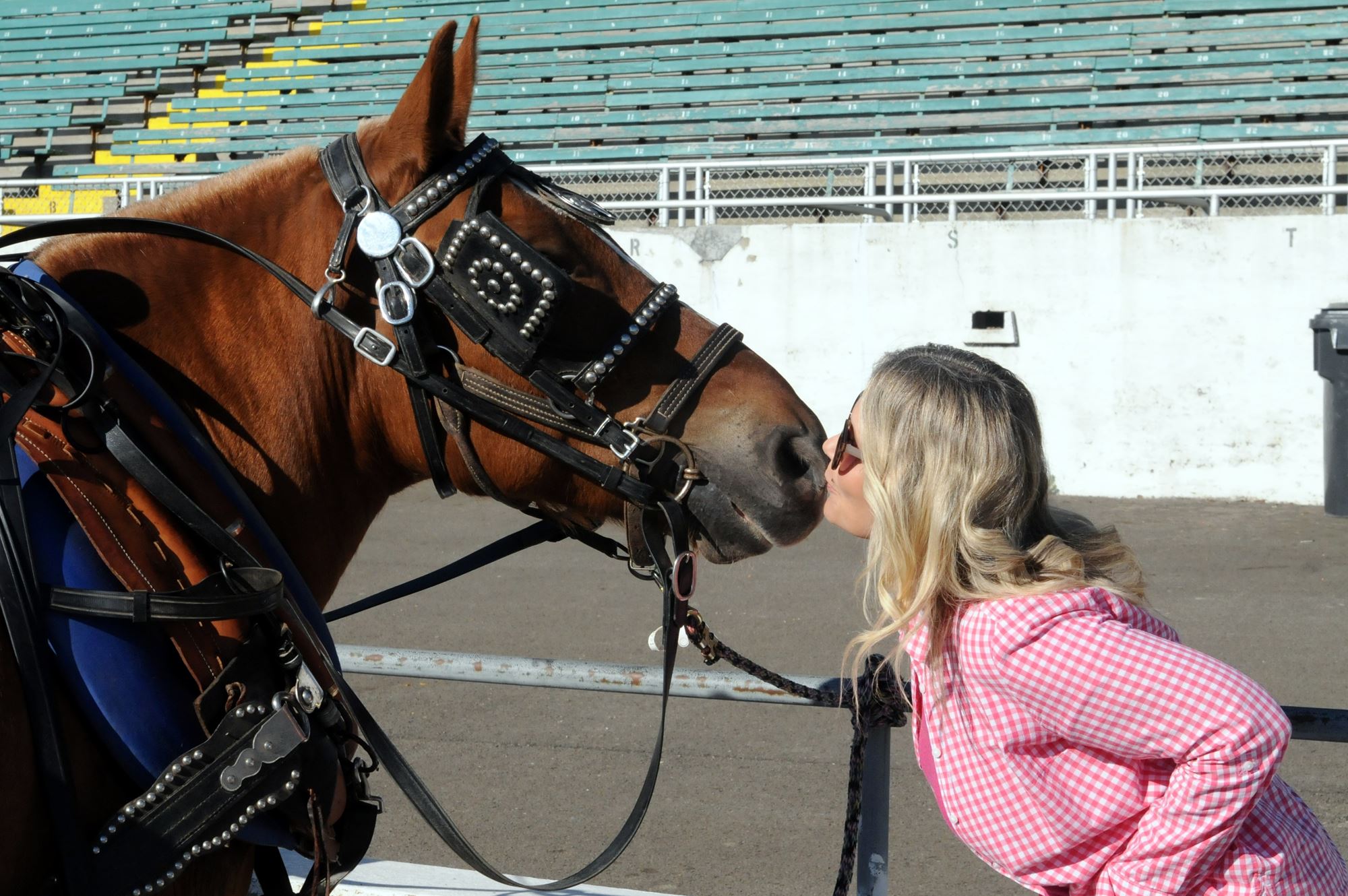2021 Canfield Fair Photos