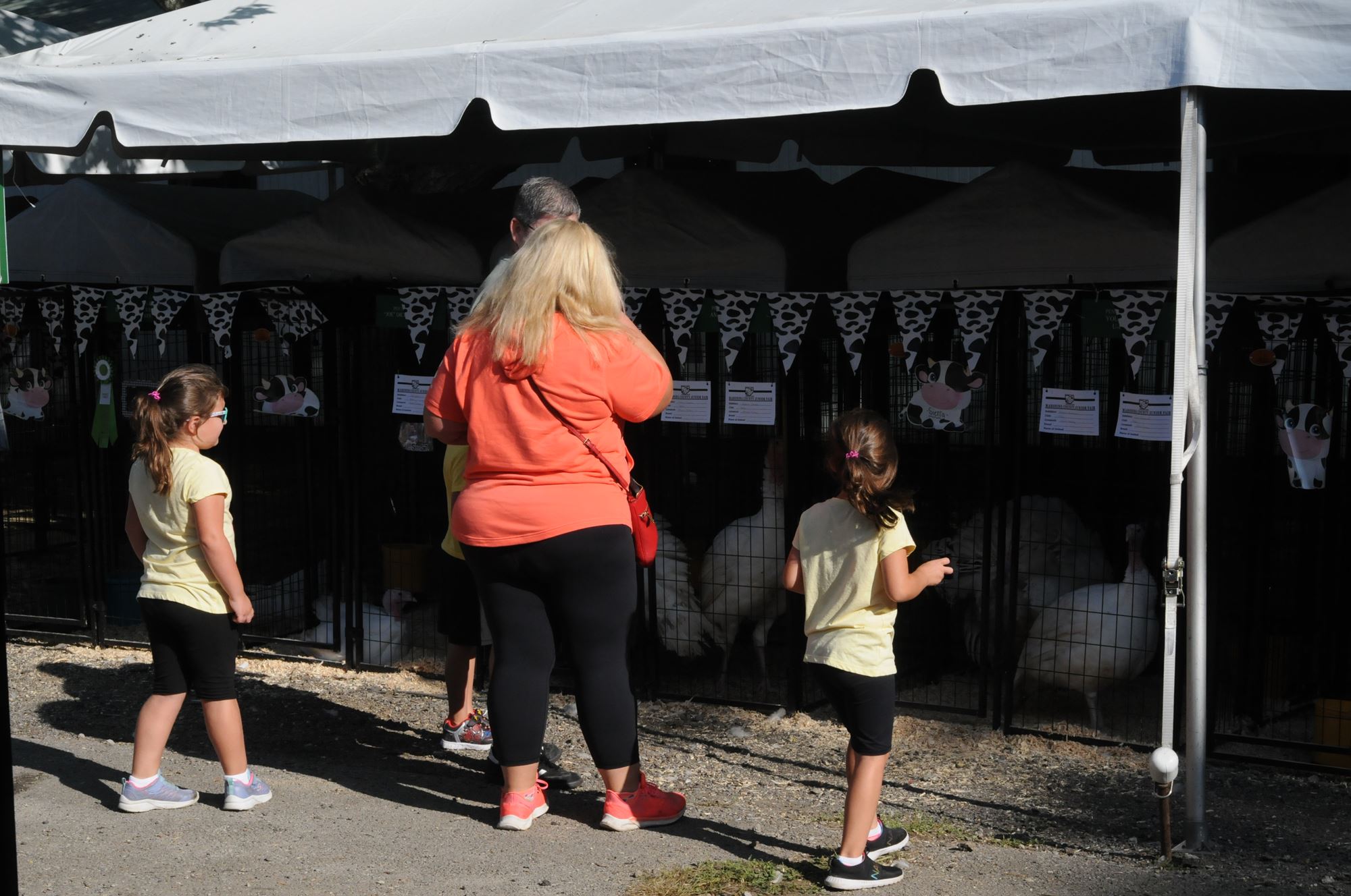 2022 Canfield Fair Photos