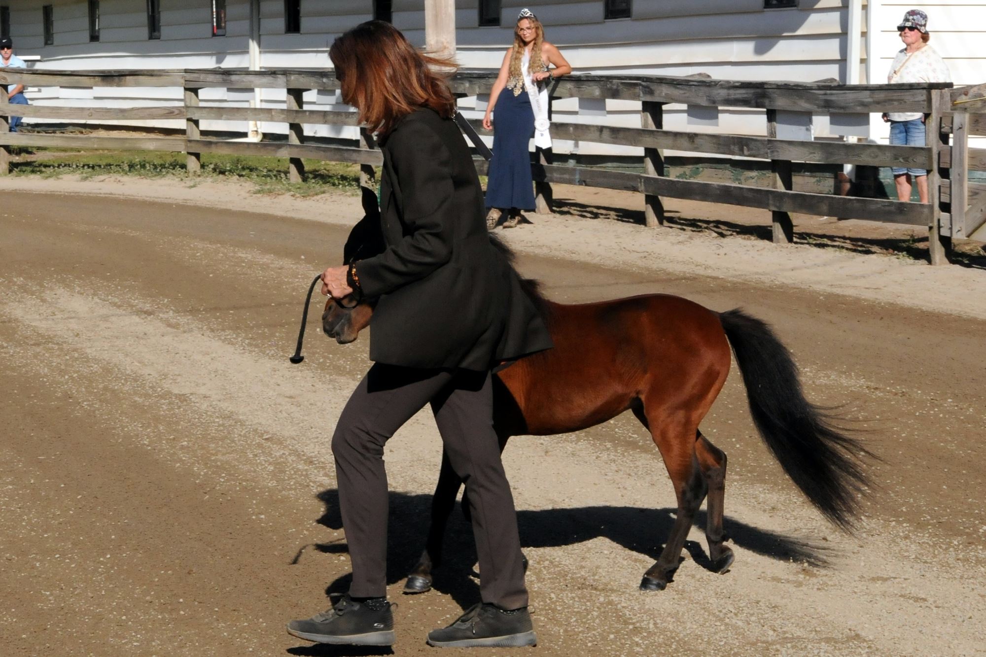 2023 Canfield Fair Photos