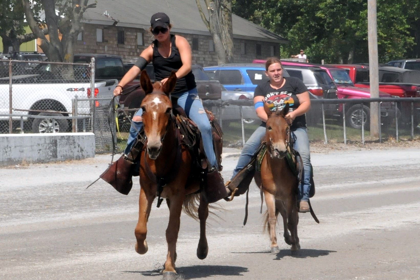 2023 Canfield Fair Photos