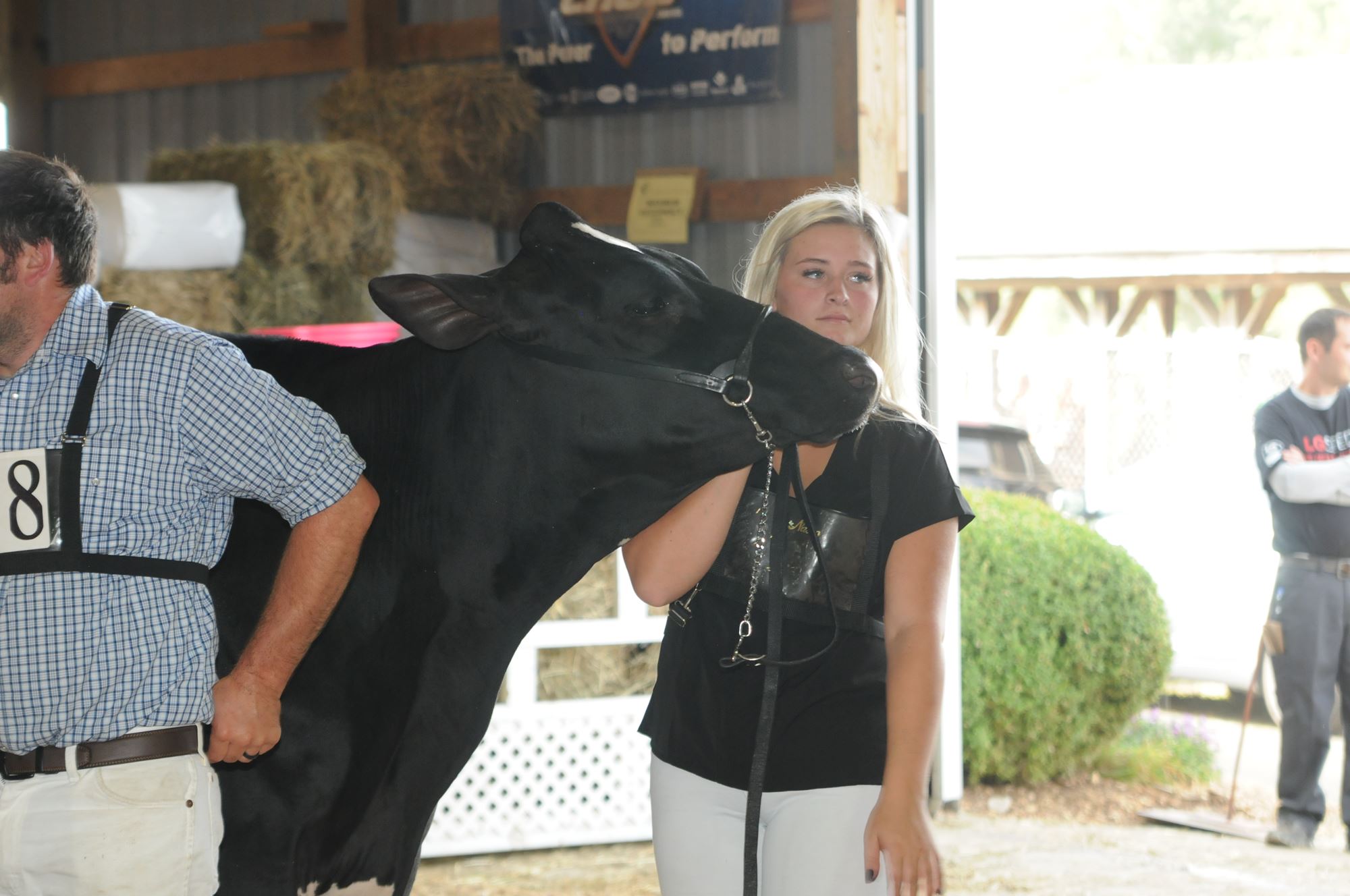 2022 Canfield Fair Photos