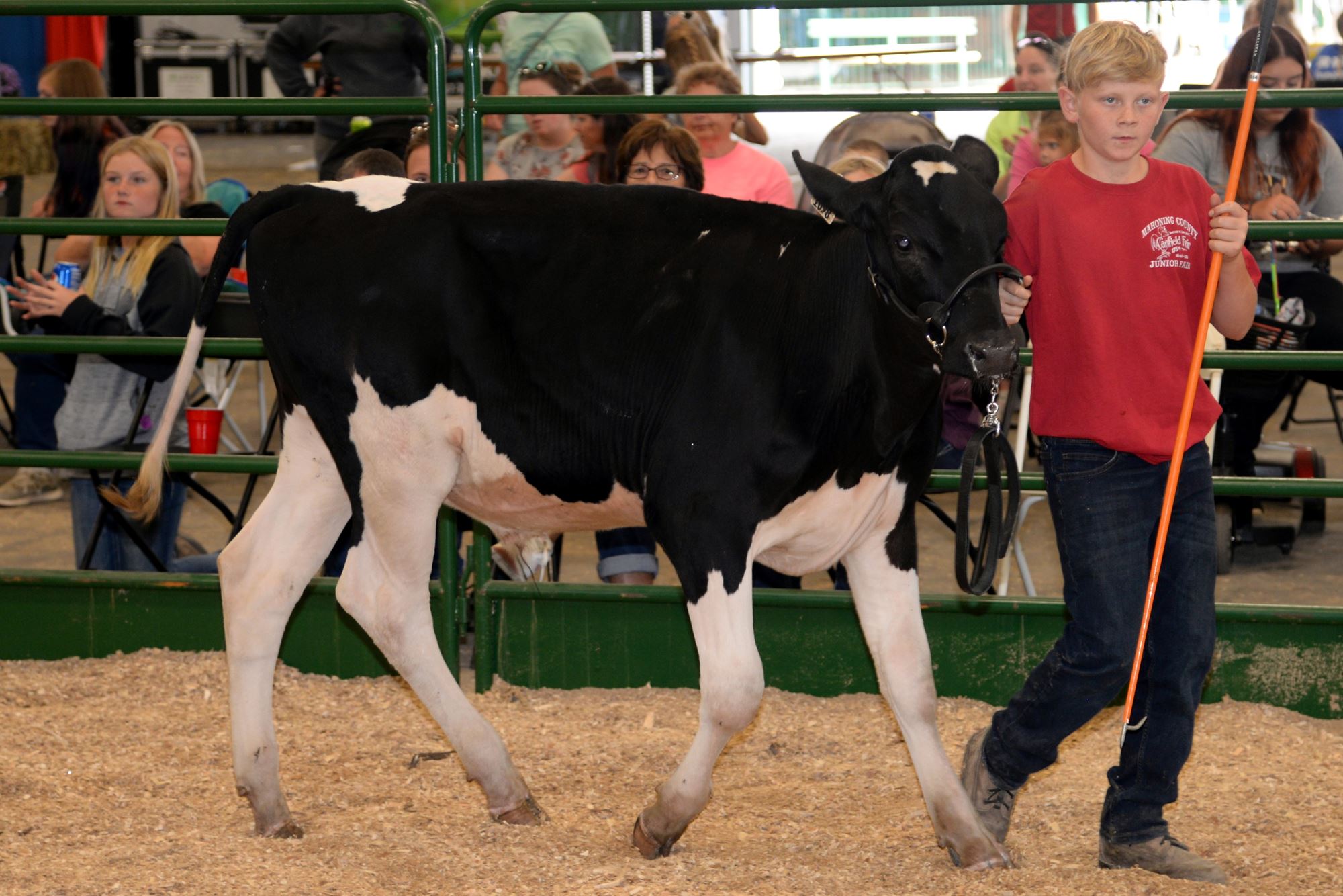 2021 Canfield Fair Photos