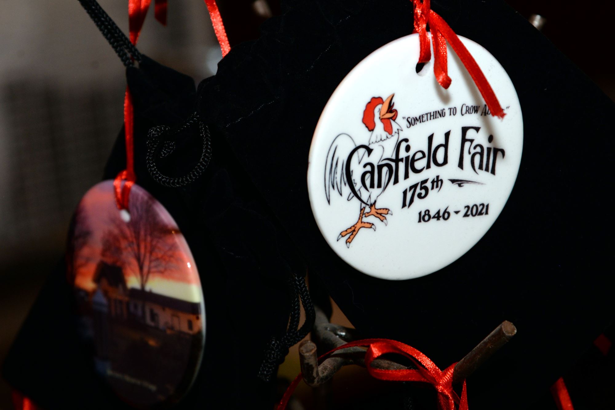 2021 Canfield Fair Photos