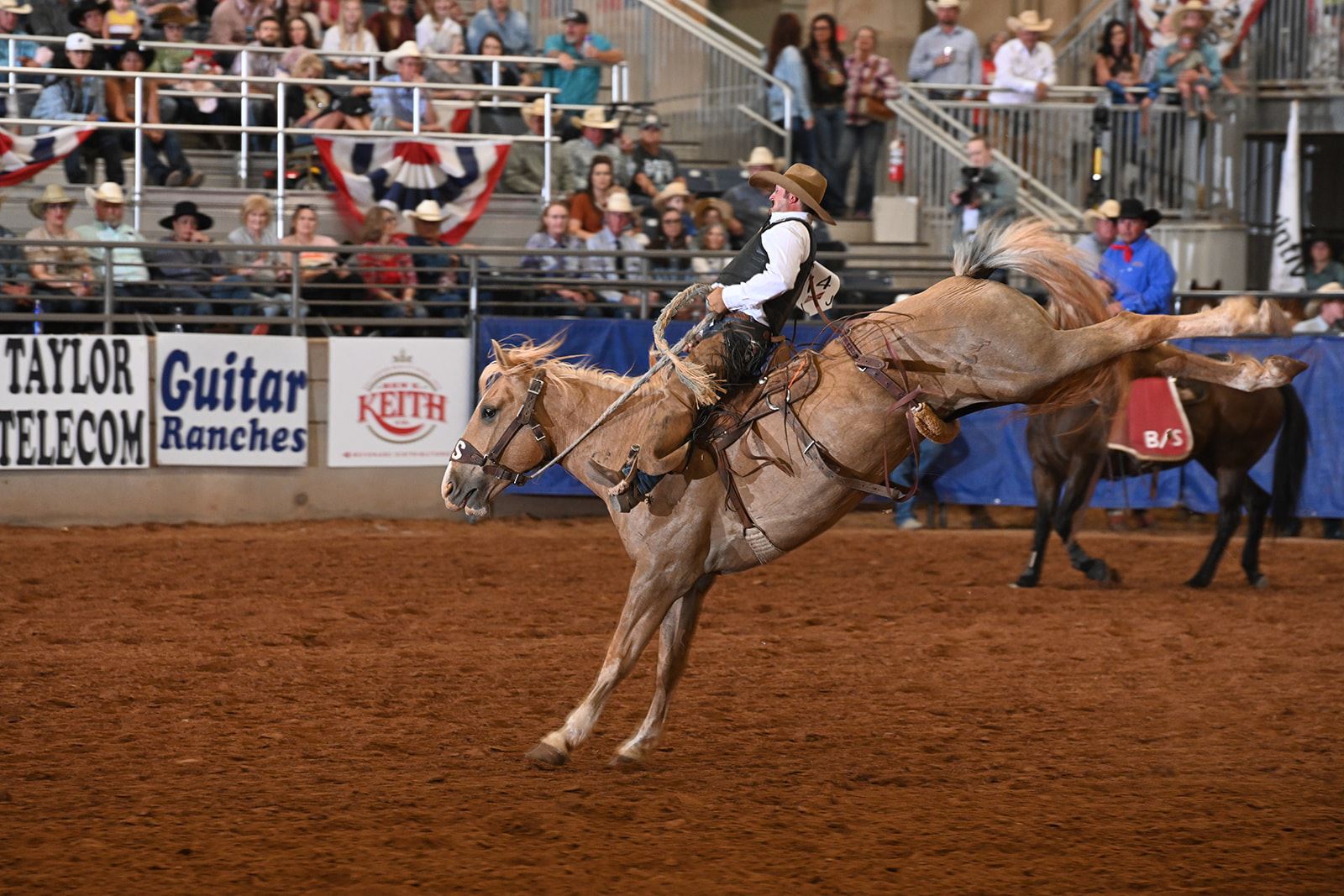 Green Land & Cattle Co.