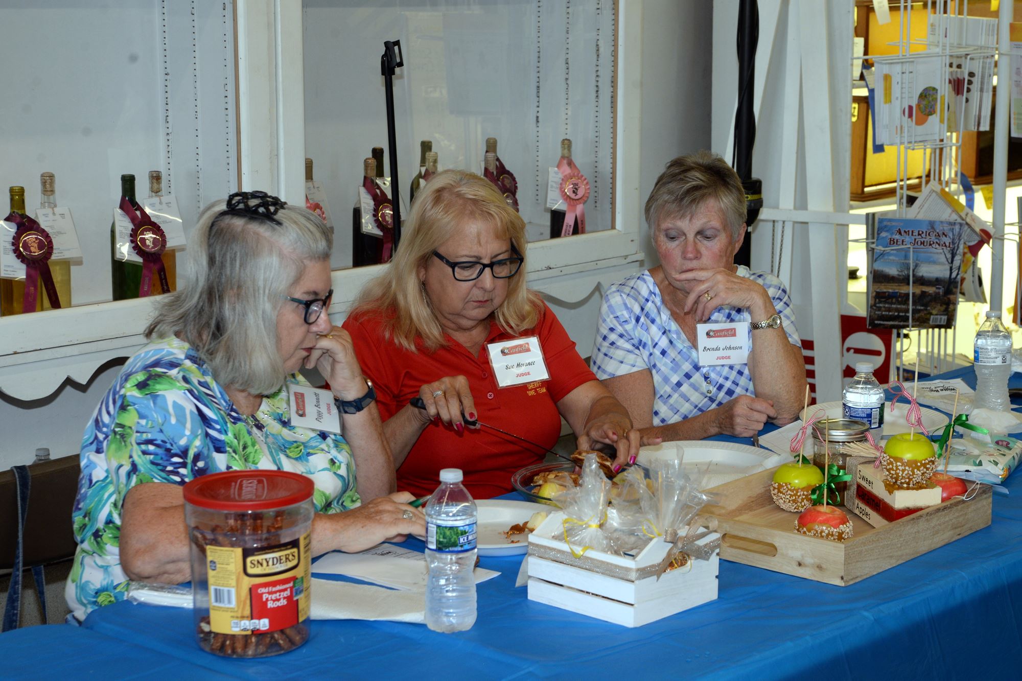 2023 Canfield Fair Photos