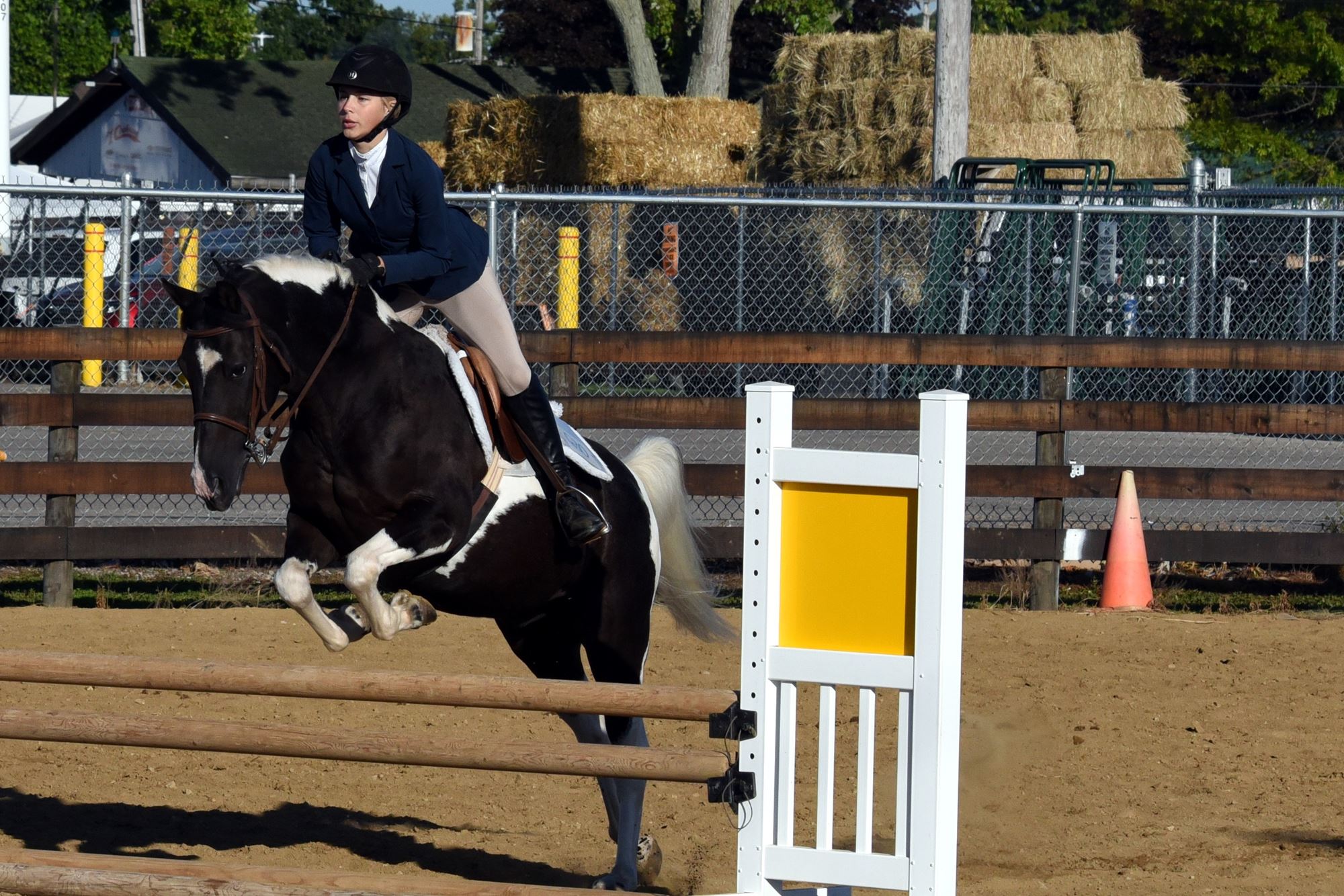 2023 Canfield Fair Photos