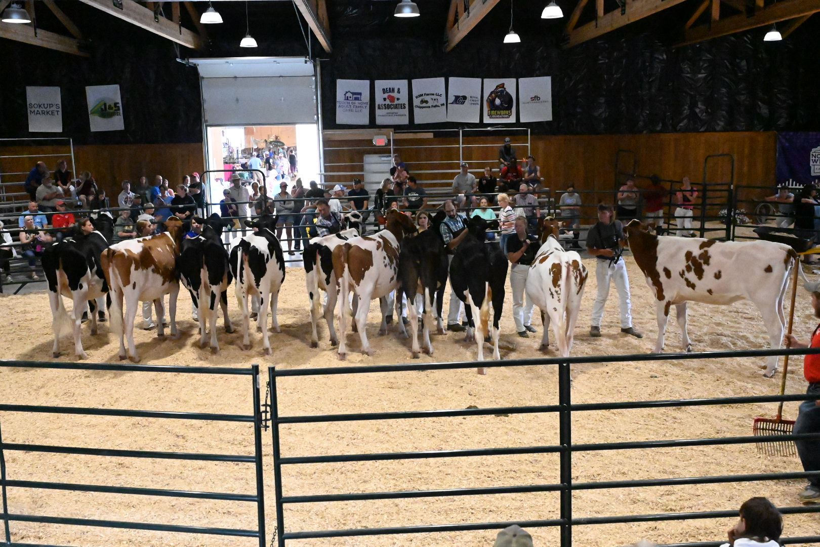 Junior Division Exhibits