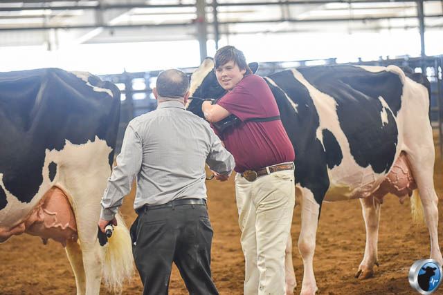 Texas Dairy Cattle Association Show