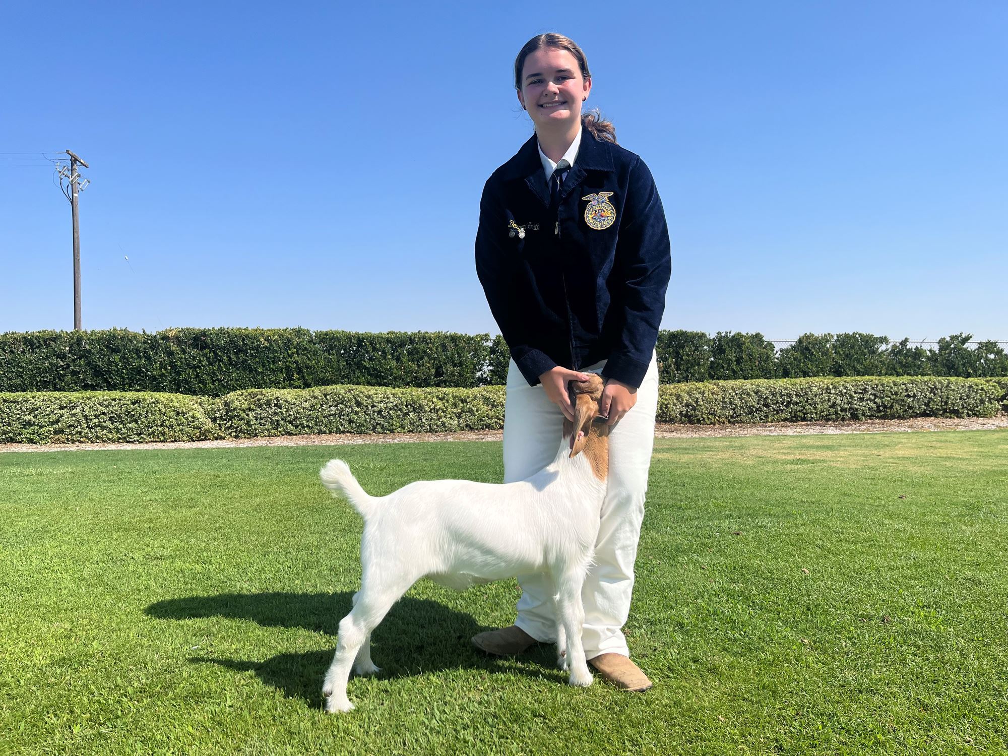 2024 Jr. Livestock Auction