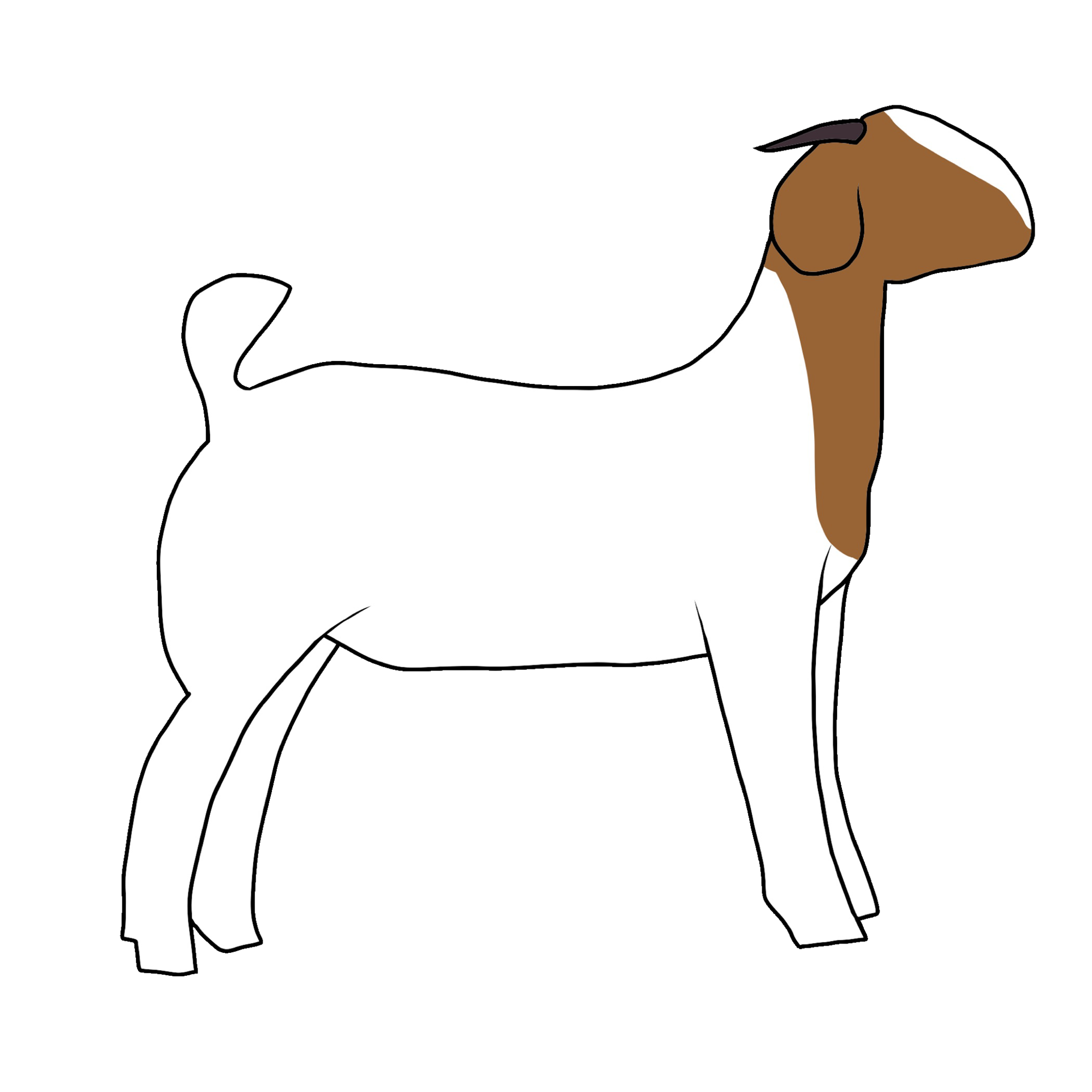 Breeding Goat Check In