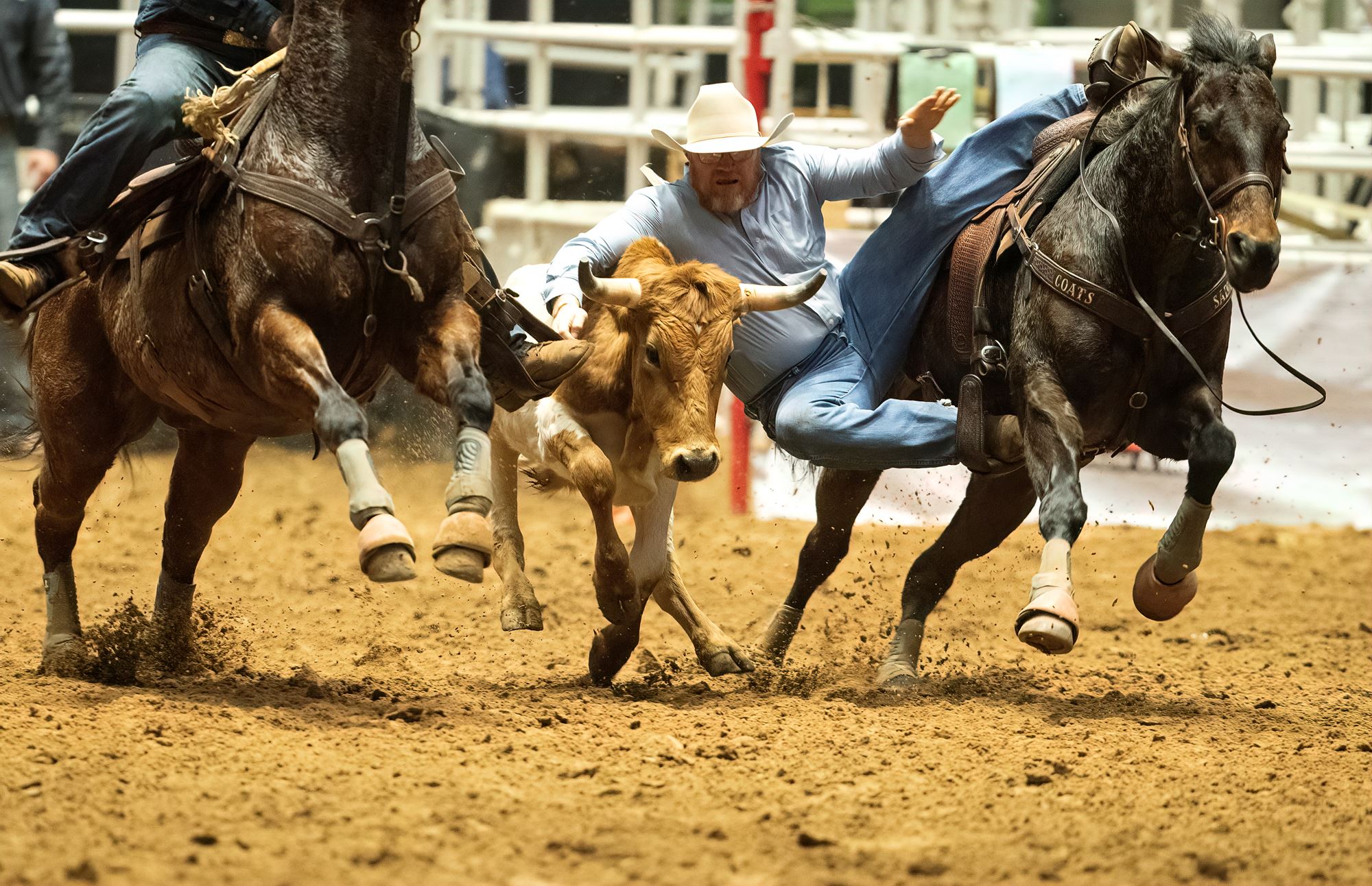 Rodeo Results