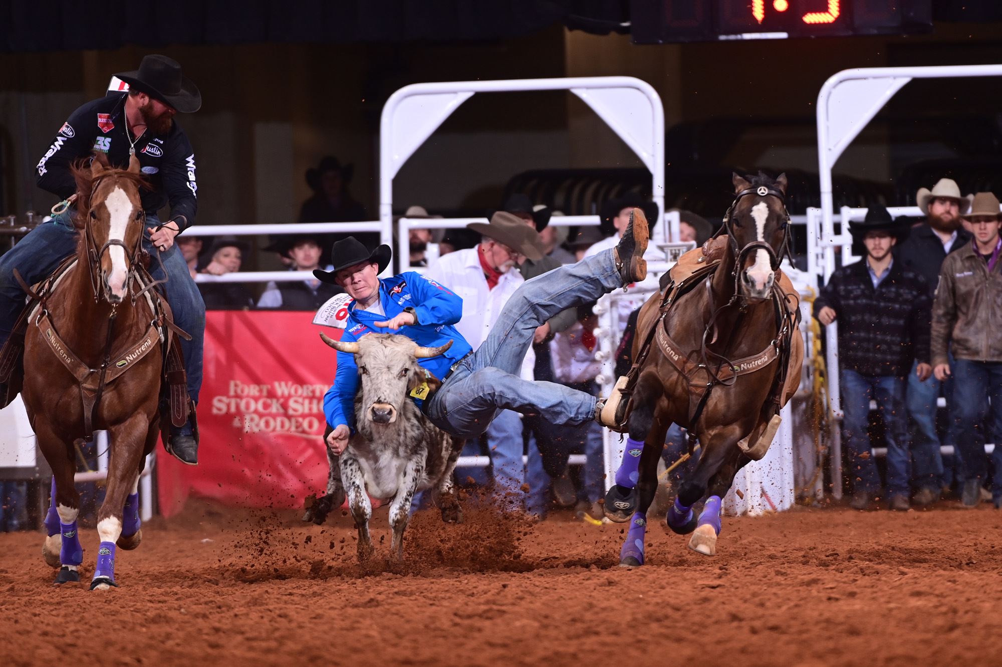 rise and shine rodeo VIP experience