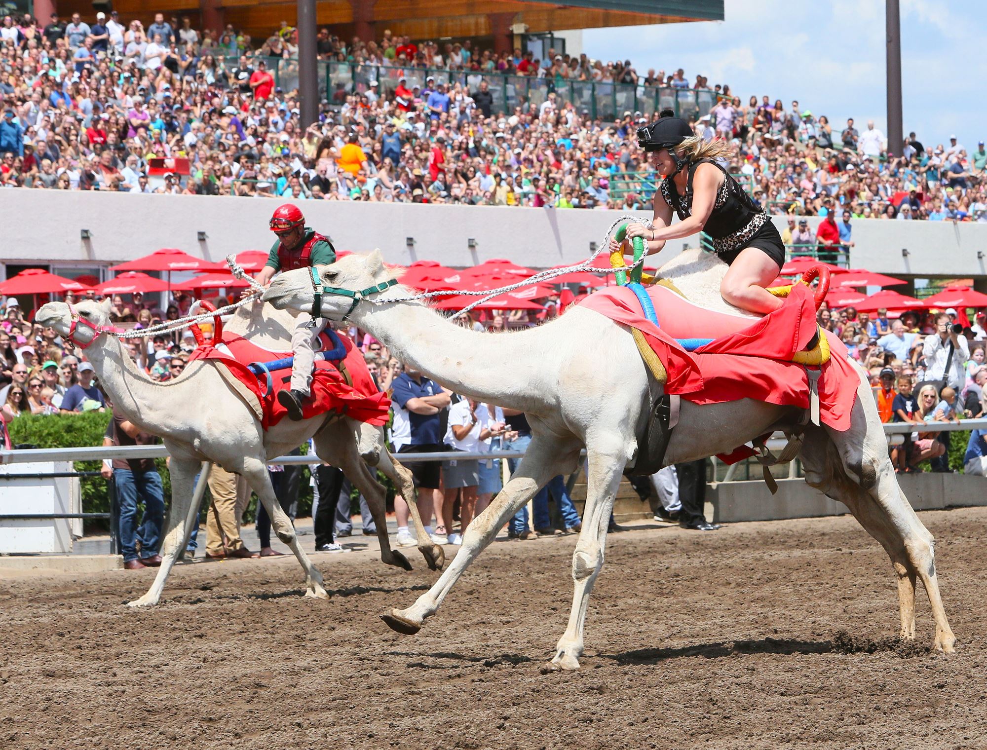 Saturday Night Racing