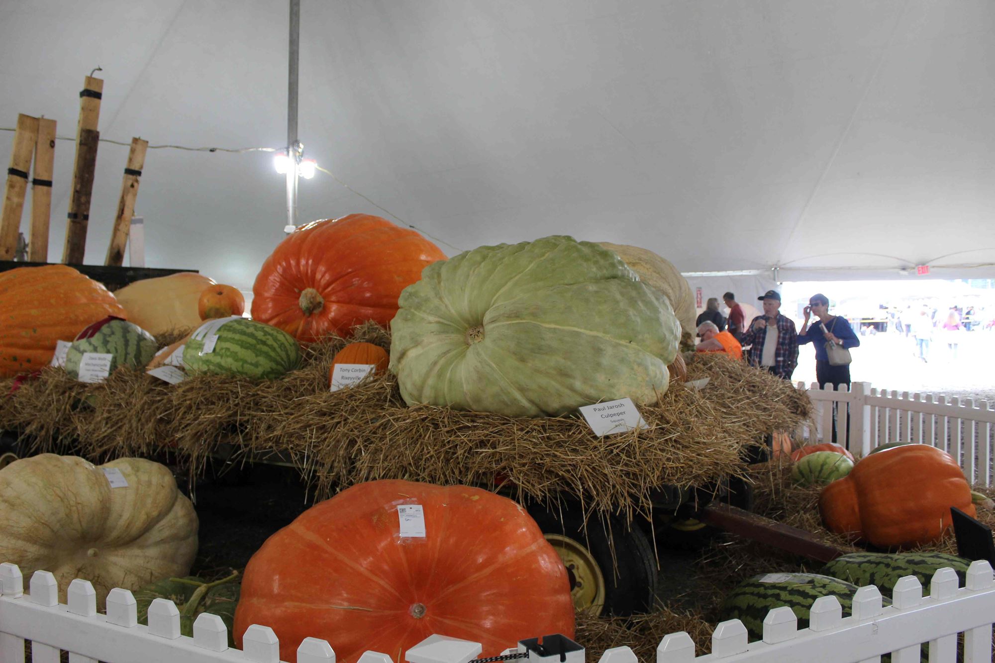 Giant Vegetable Weigh-Off