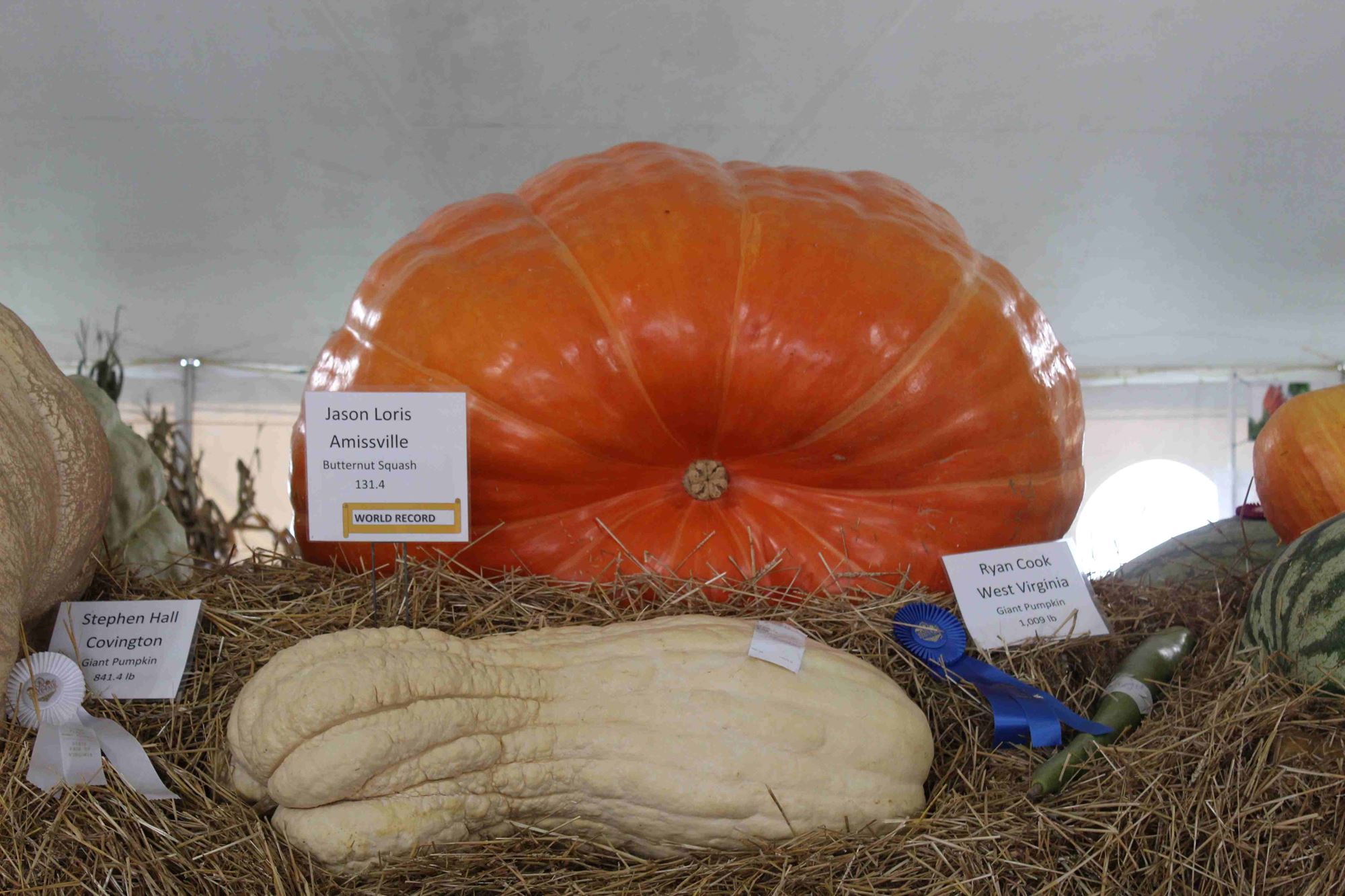 Giant Vegetable Weigh-Off