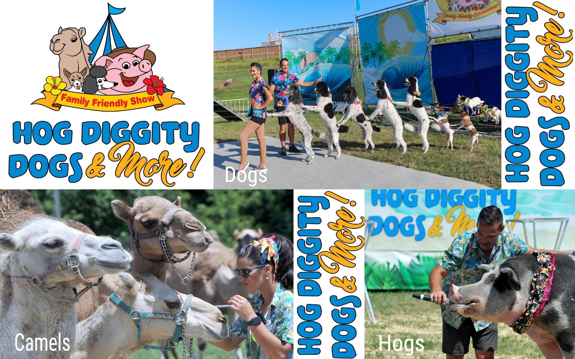 Free Daily Entertainment 2023 - Something To Crow About