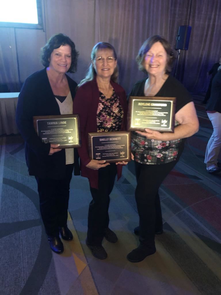 The WSFA at the IAFE