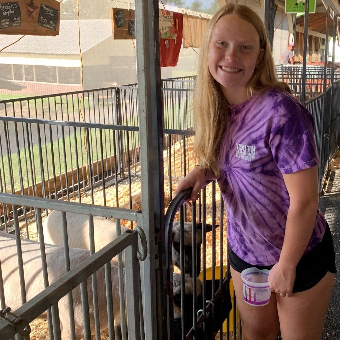 Bedford Fair Premium Guide