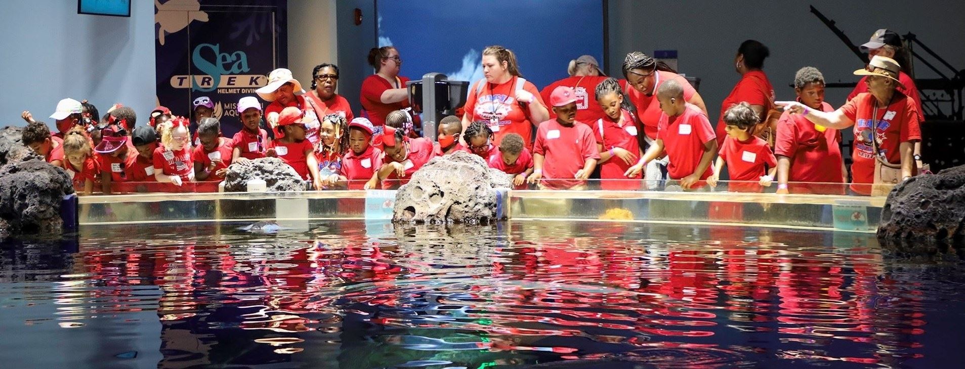 Education at Mississippi Aquarium